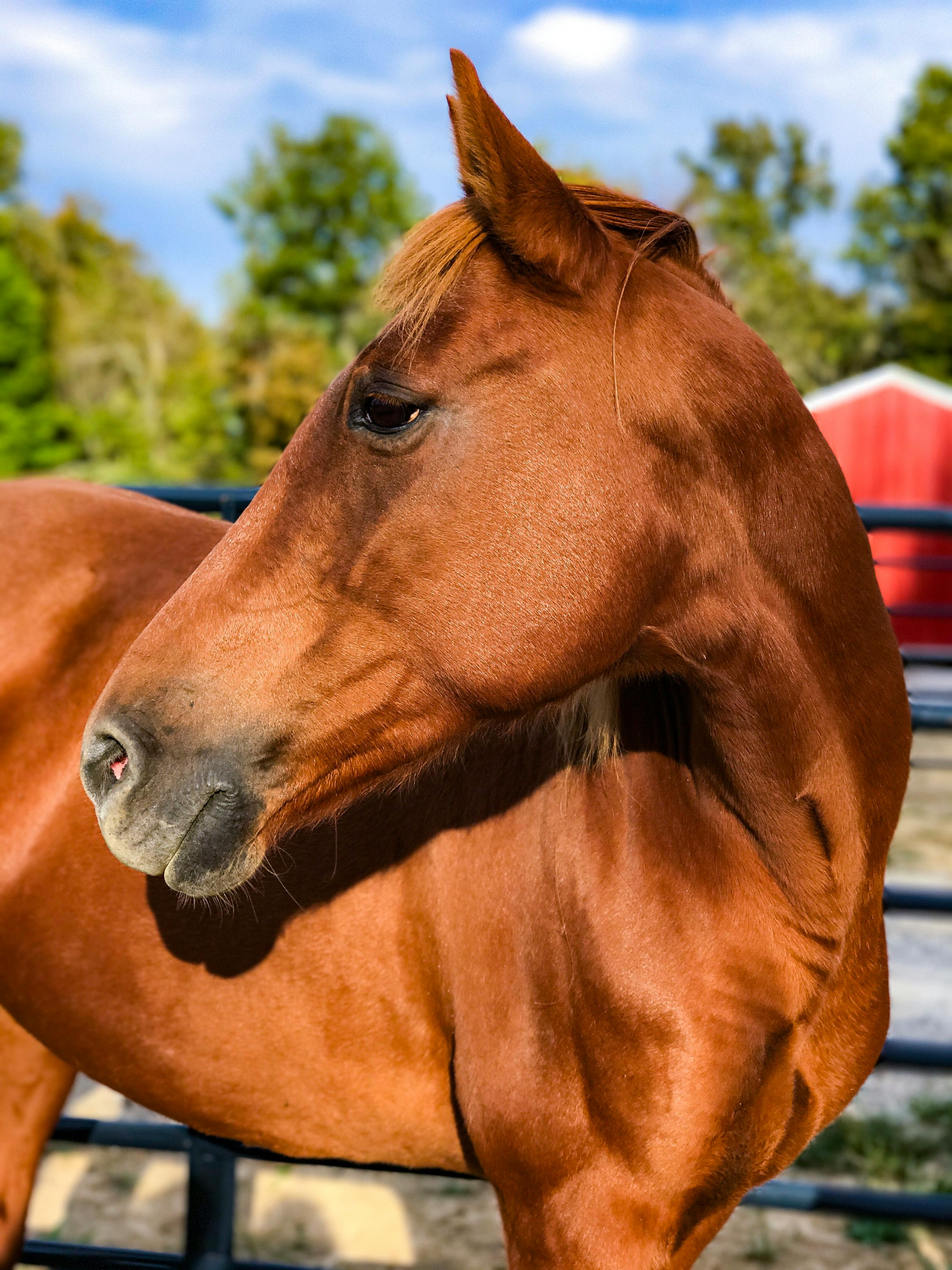 Amy Baxter Photos, Download The BEST Free Amy Baxter Stock Photos & HD ...