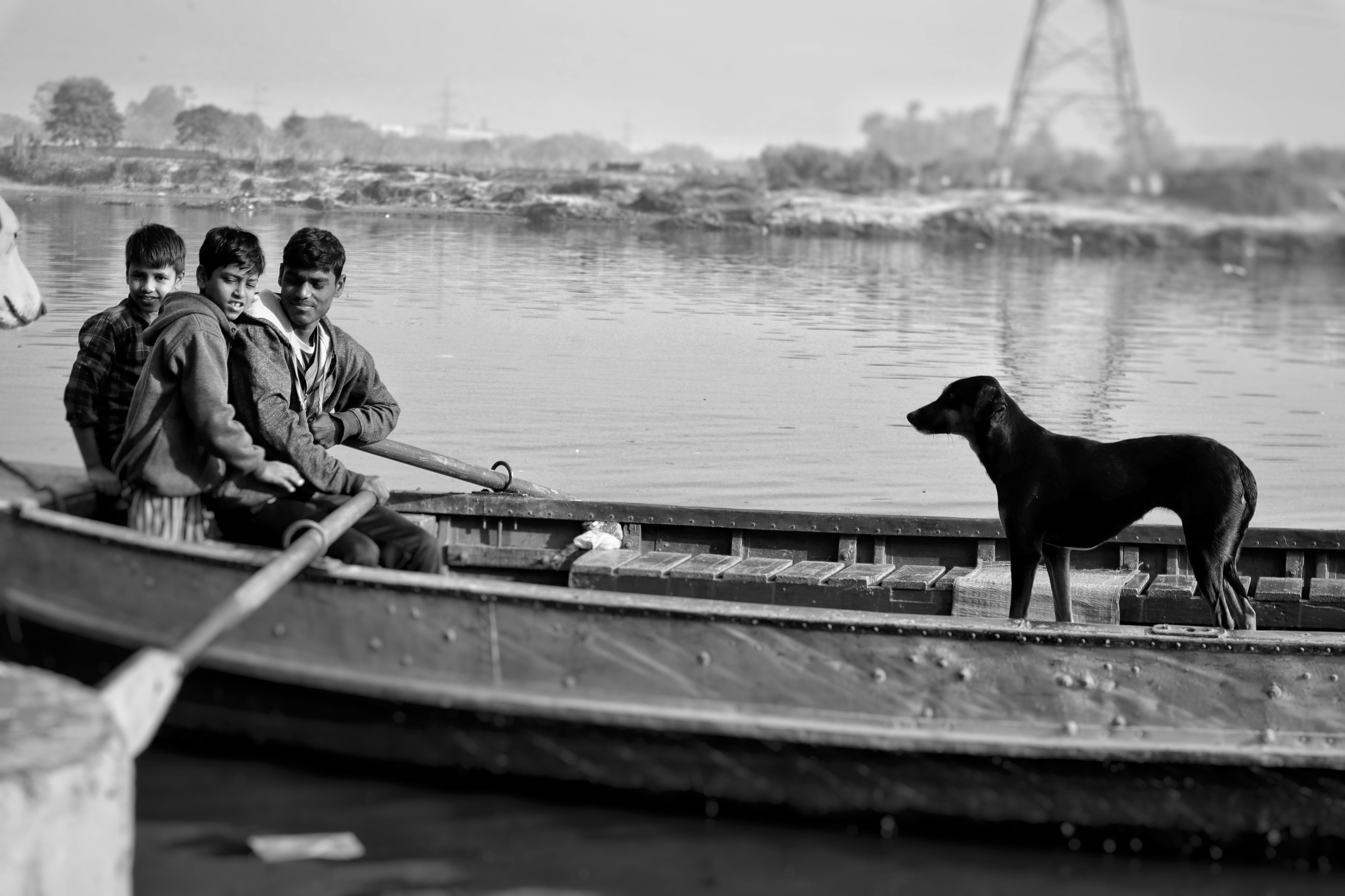 Teenagers Boating with Dog · Free Stock Photo