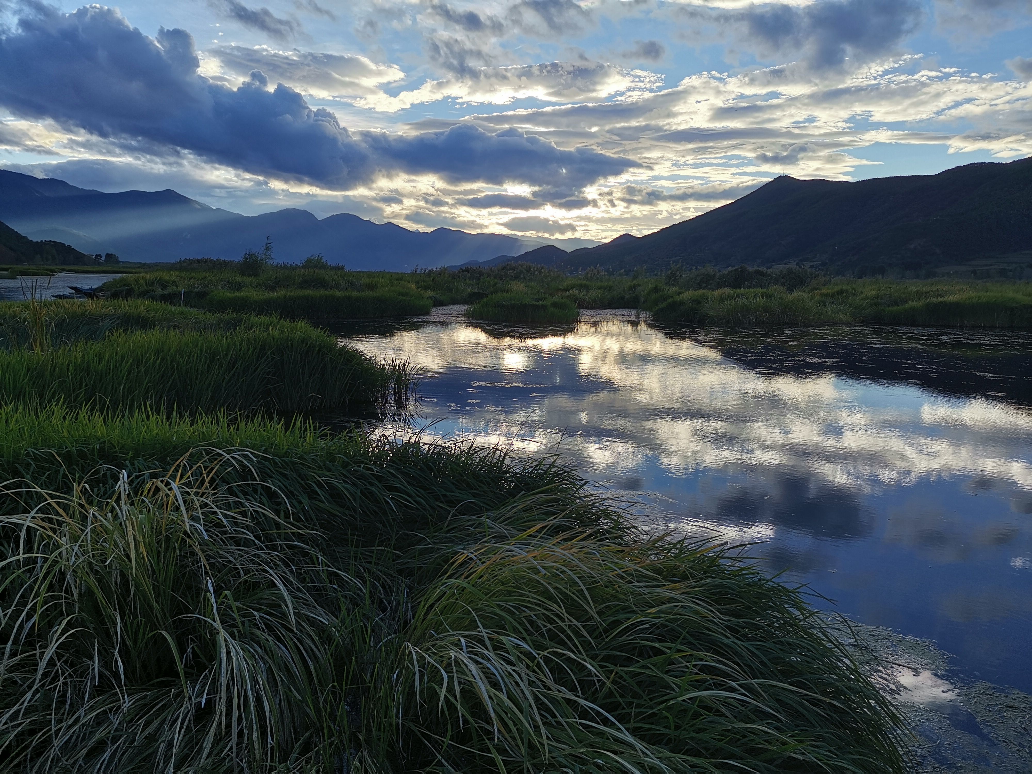 Clouds over Rushes and Lake · Free Stock Photo