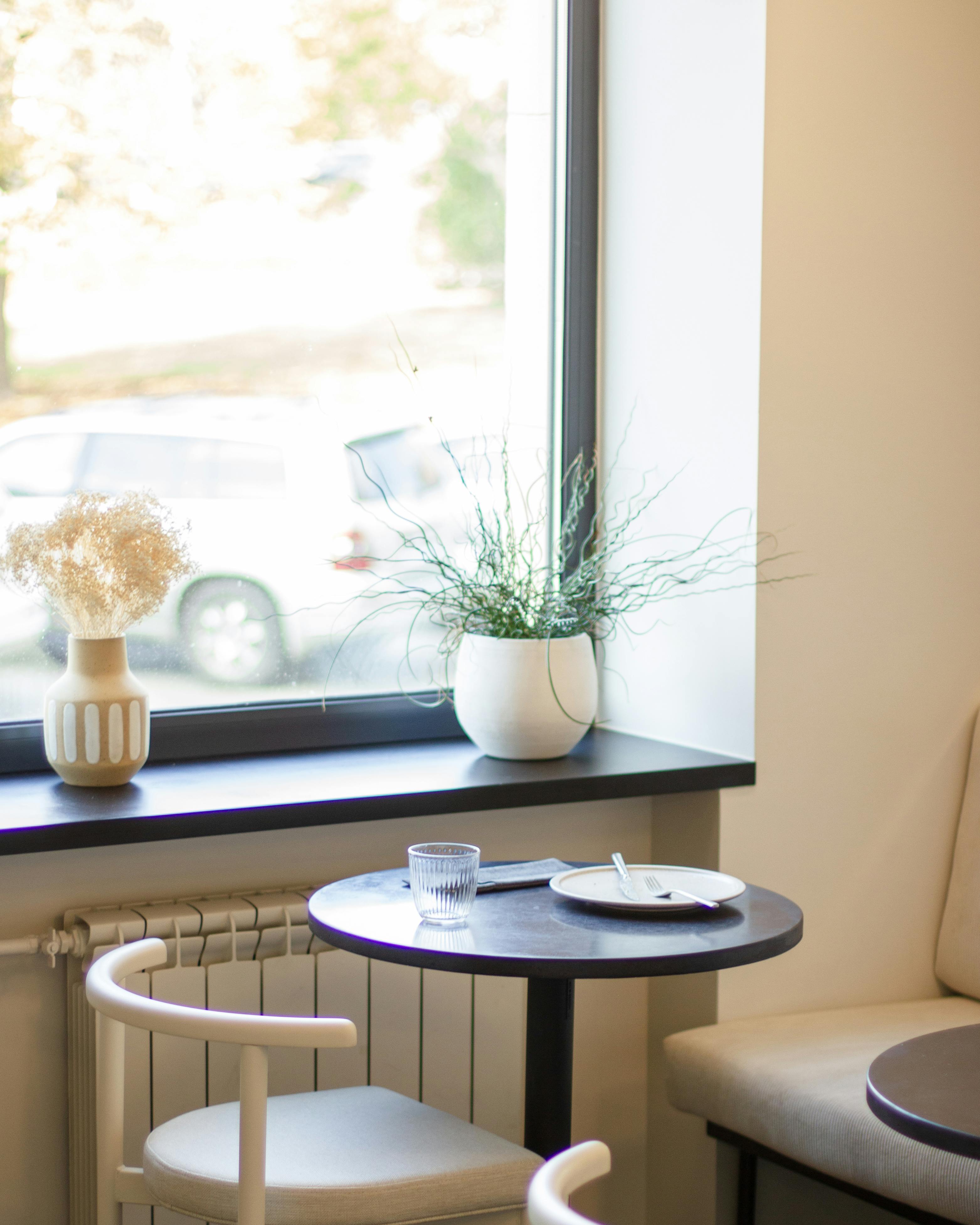 Plant on Table near Wall and Windows · Free Stock Photo