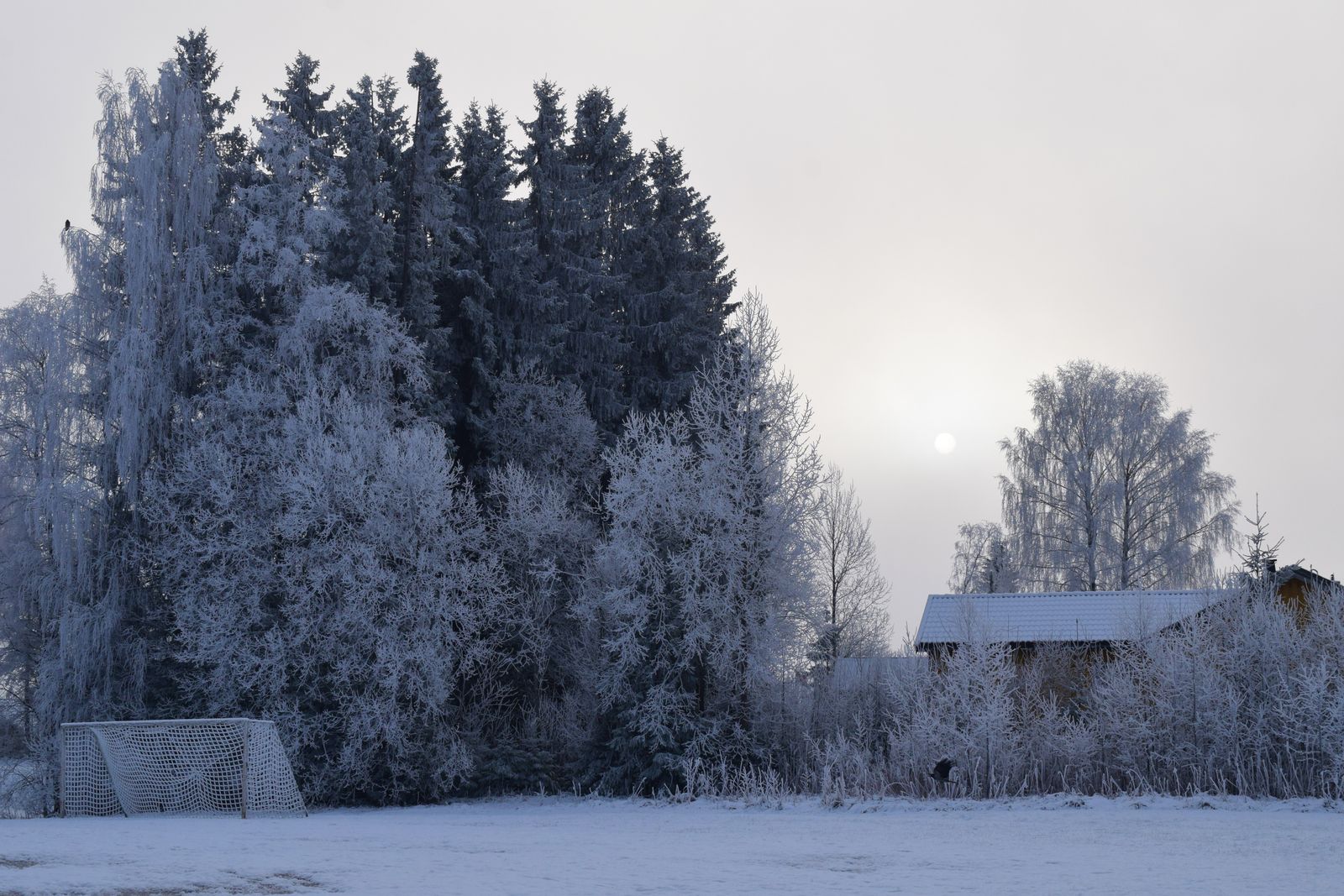 Cold Soccer Photos, Download The BEST Free Cold Soccer Stock Photos ...