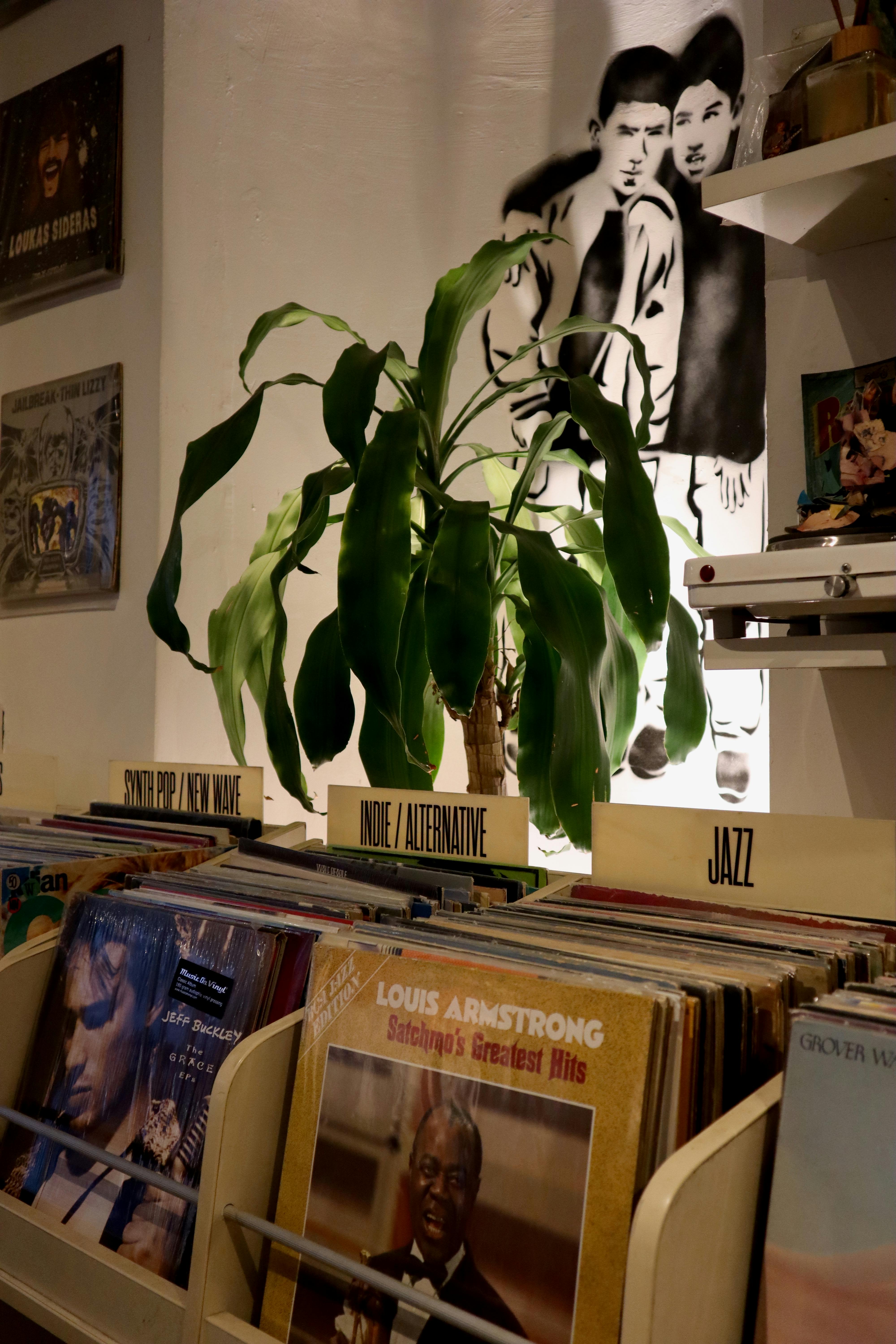 Music Dramatic Photos, Download The BEST Free Music Dramatic Stock ...