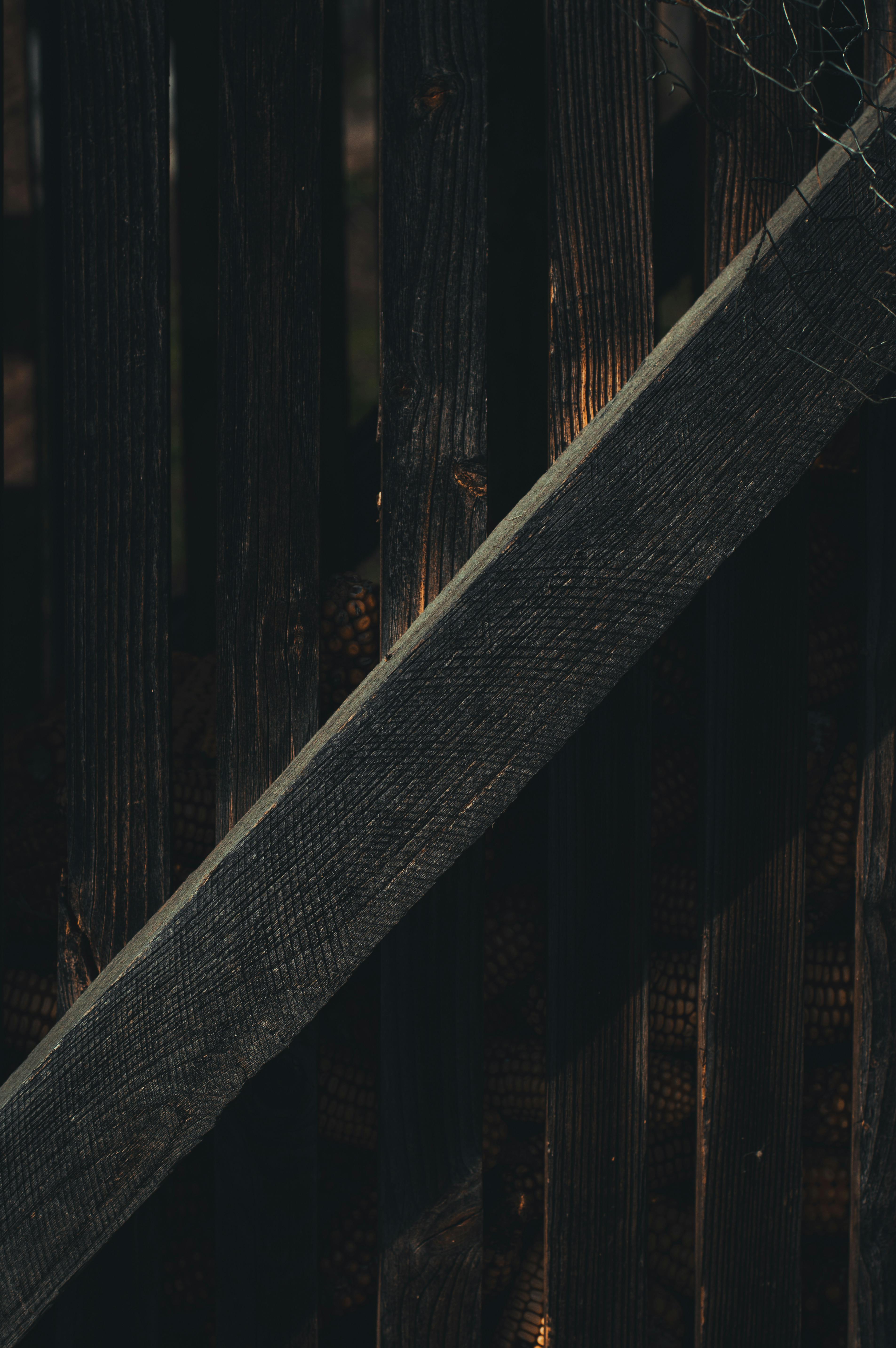 Close-up of a Wooden Container with Corn Cobs Inside · Free Stock Photo