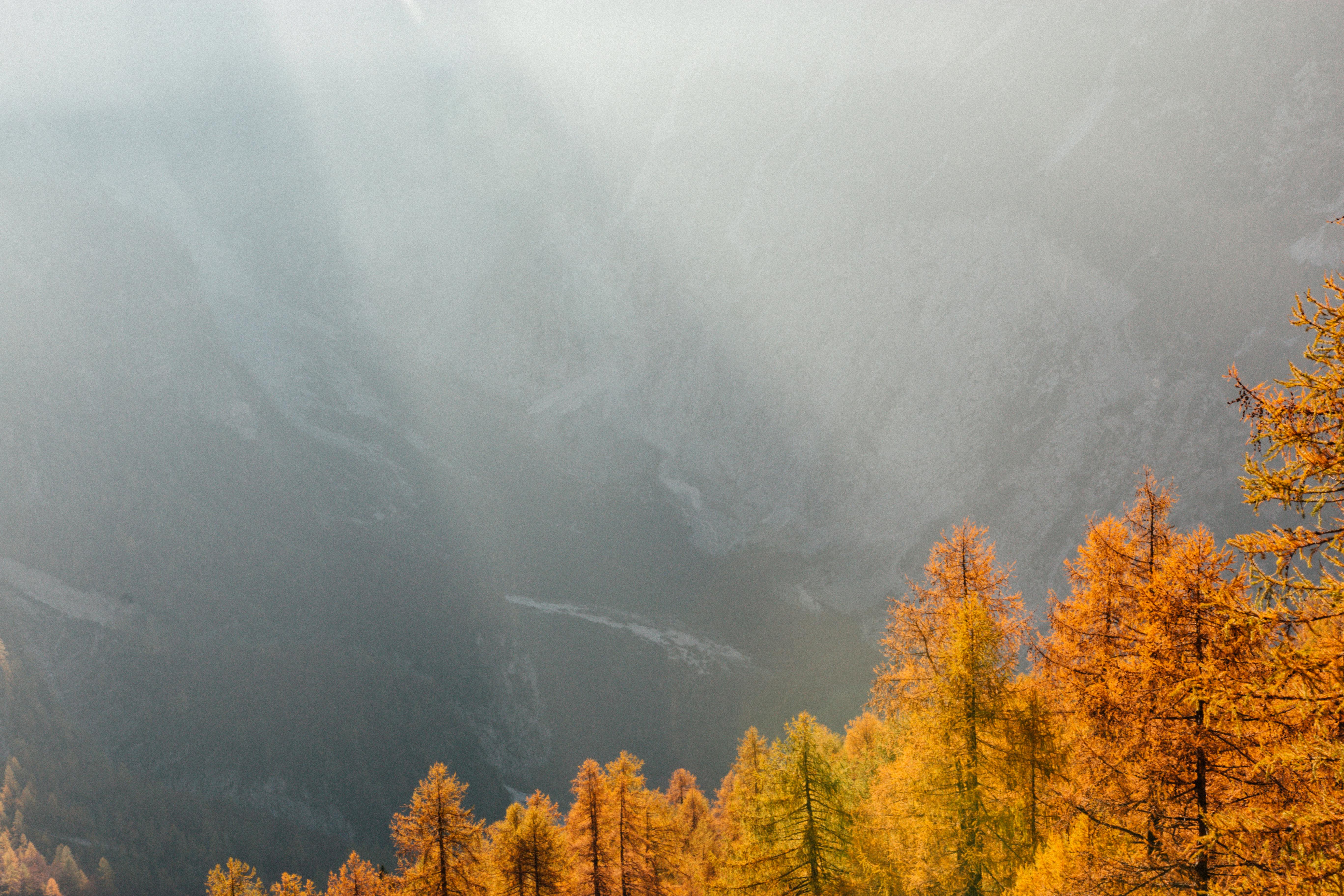 Aesthetic Desktop Wallpaper Horizontal Photos, Download Free Aesthetic ...