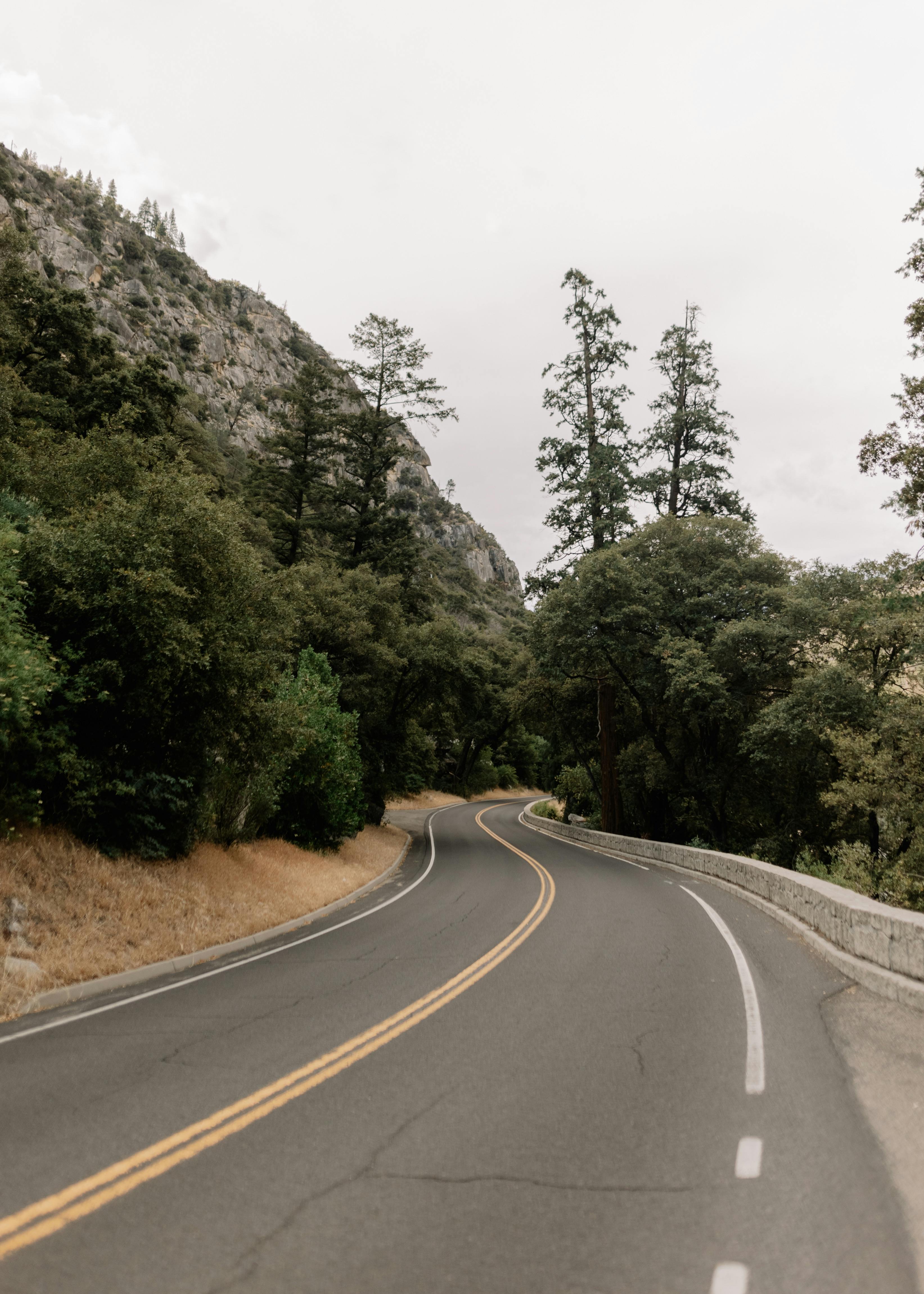 Asphalt Road Between Trees · Free Stock Photo