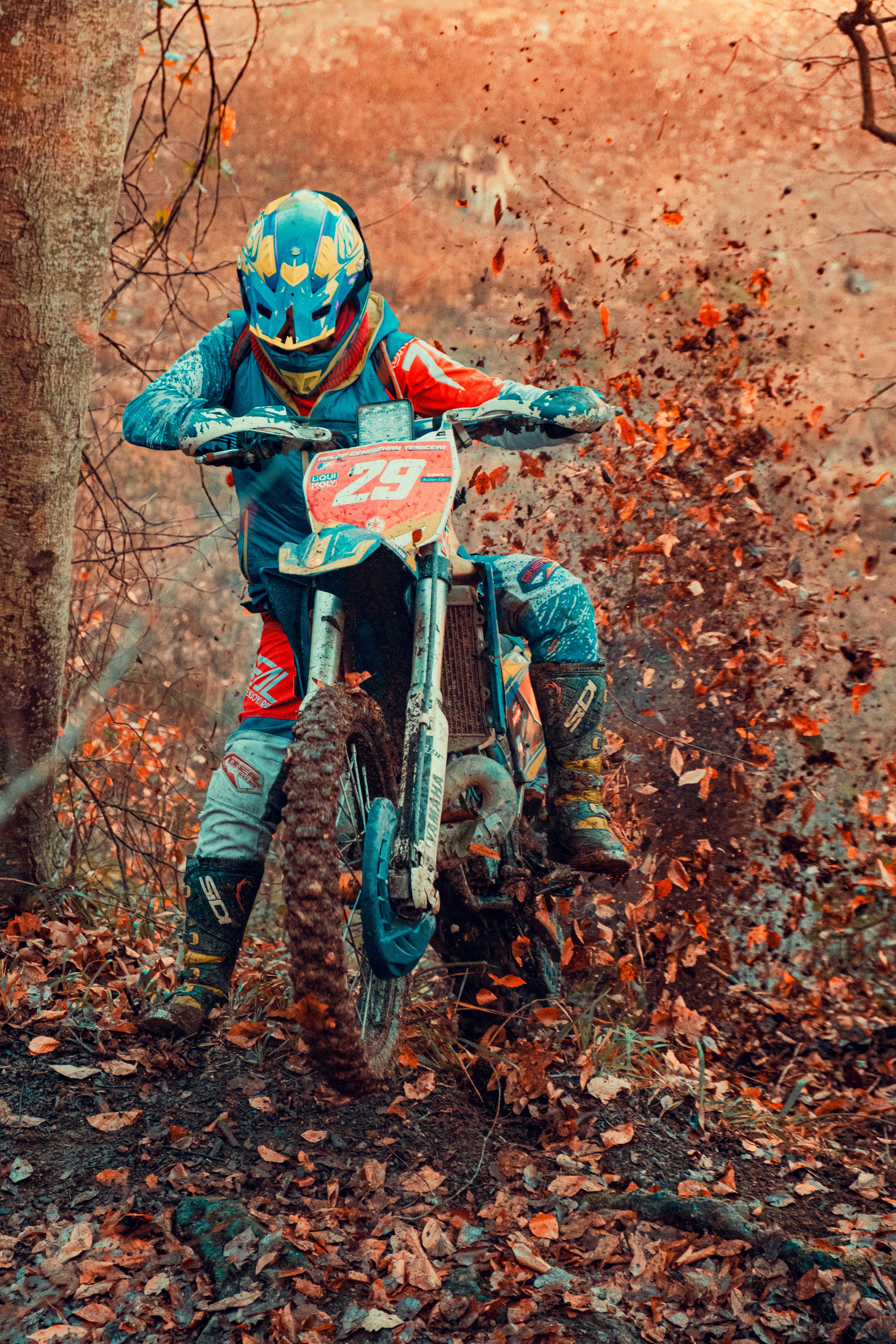 Person Riding a Motorcross Bike in the Forest · Free Stock Photo