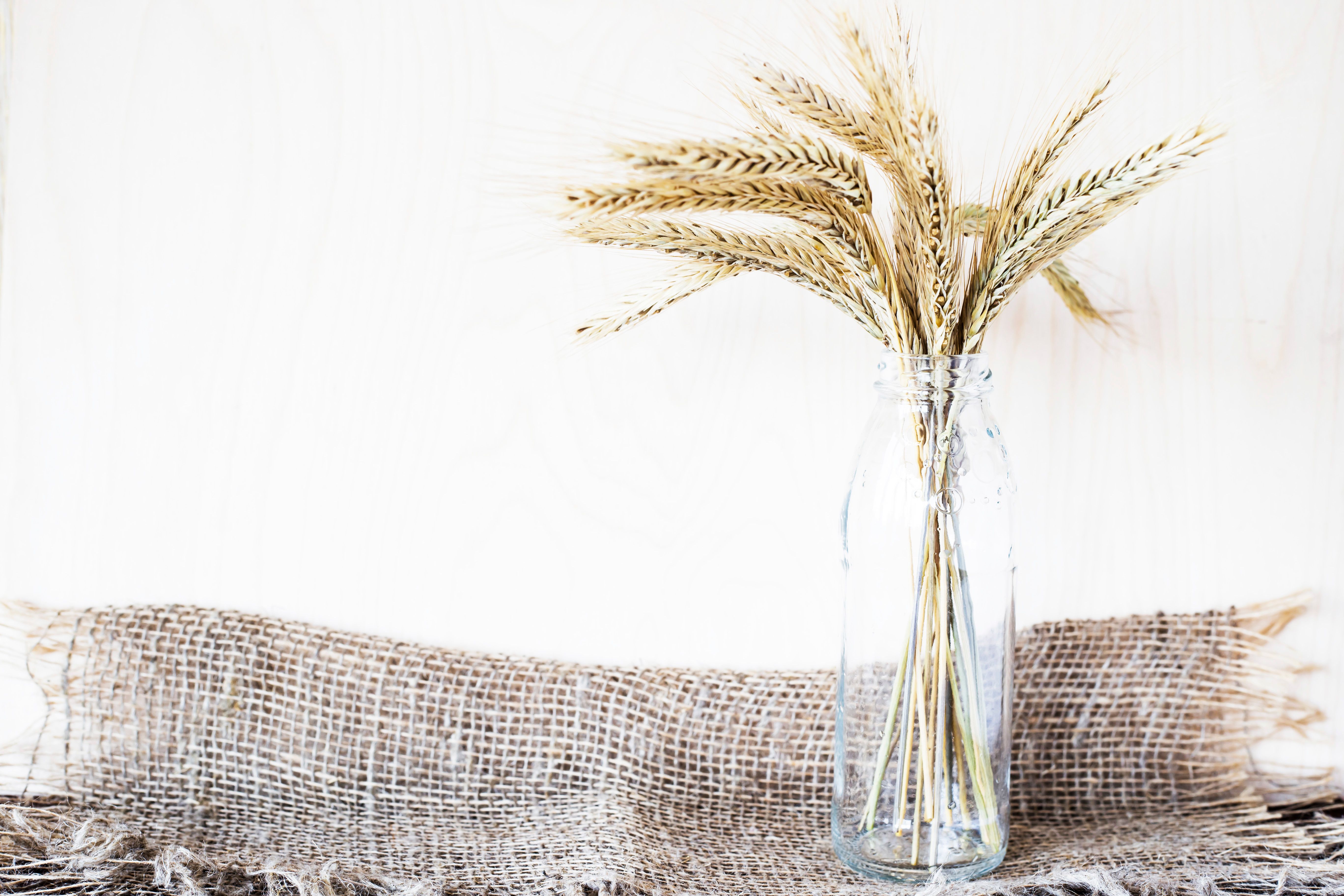 Wheat Grain in Clear Glass Bottle · Free Stock Photo