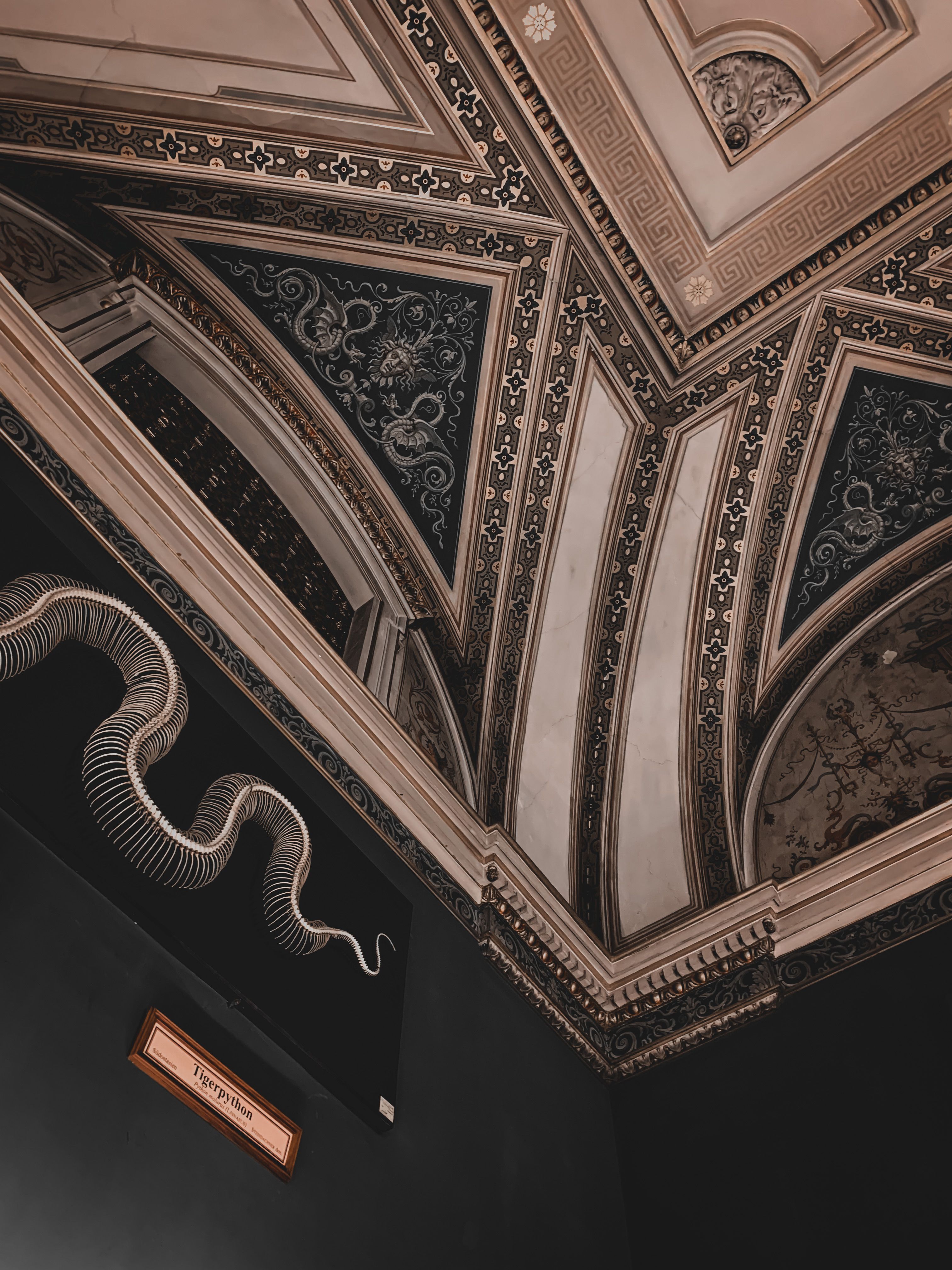 Old ornamental ceiling with arched window · Free Stock Photo