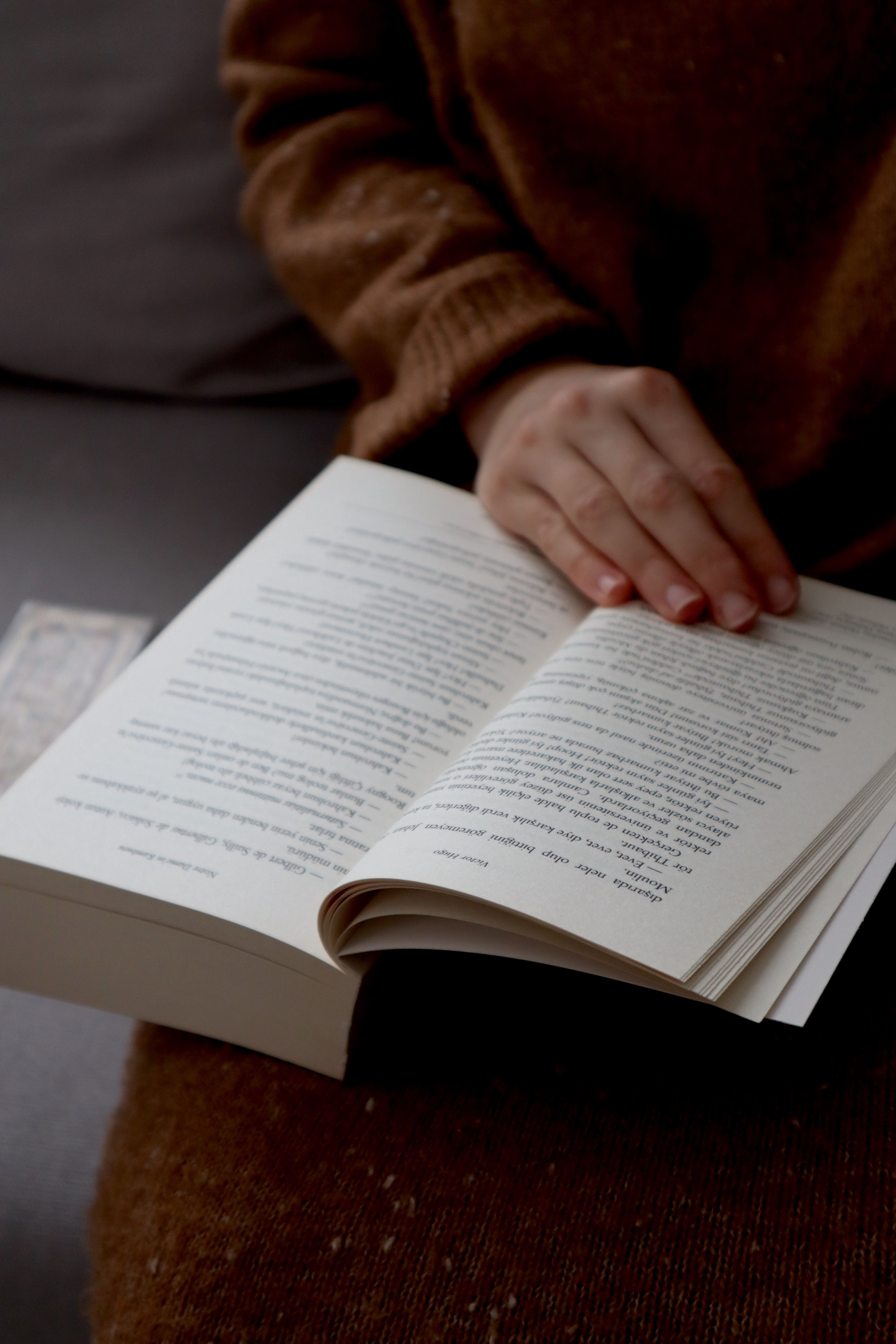 Woman Sitting on Sofa with Open Book · Free Stock Photo