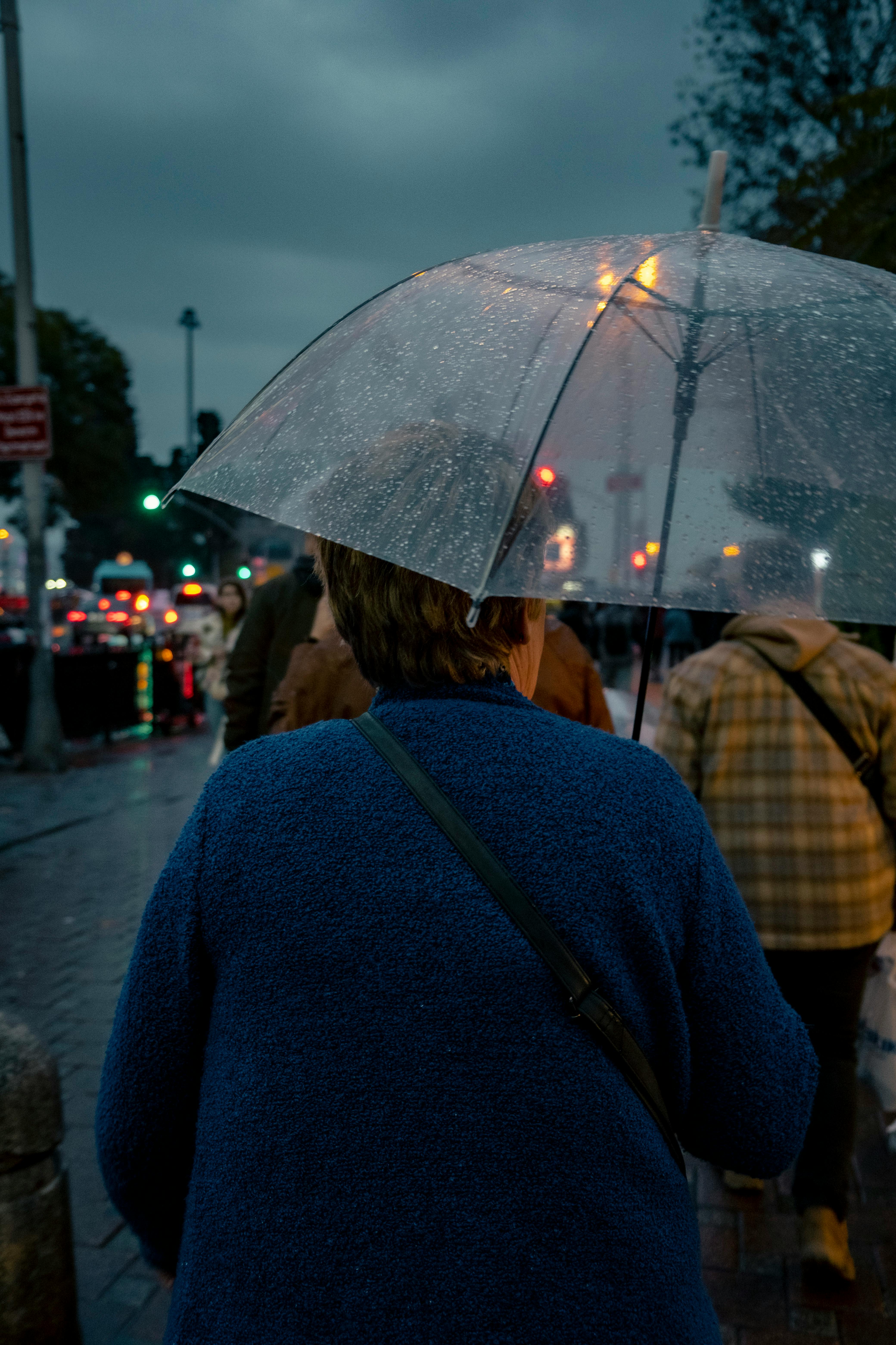 Photo of Person Holding Red Umbrella · Free Stock Photo