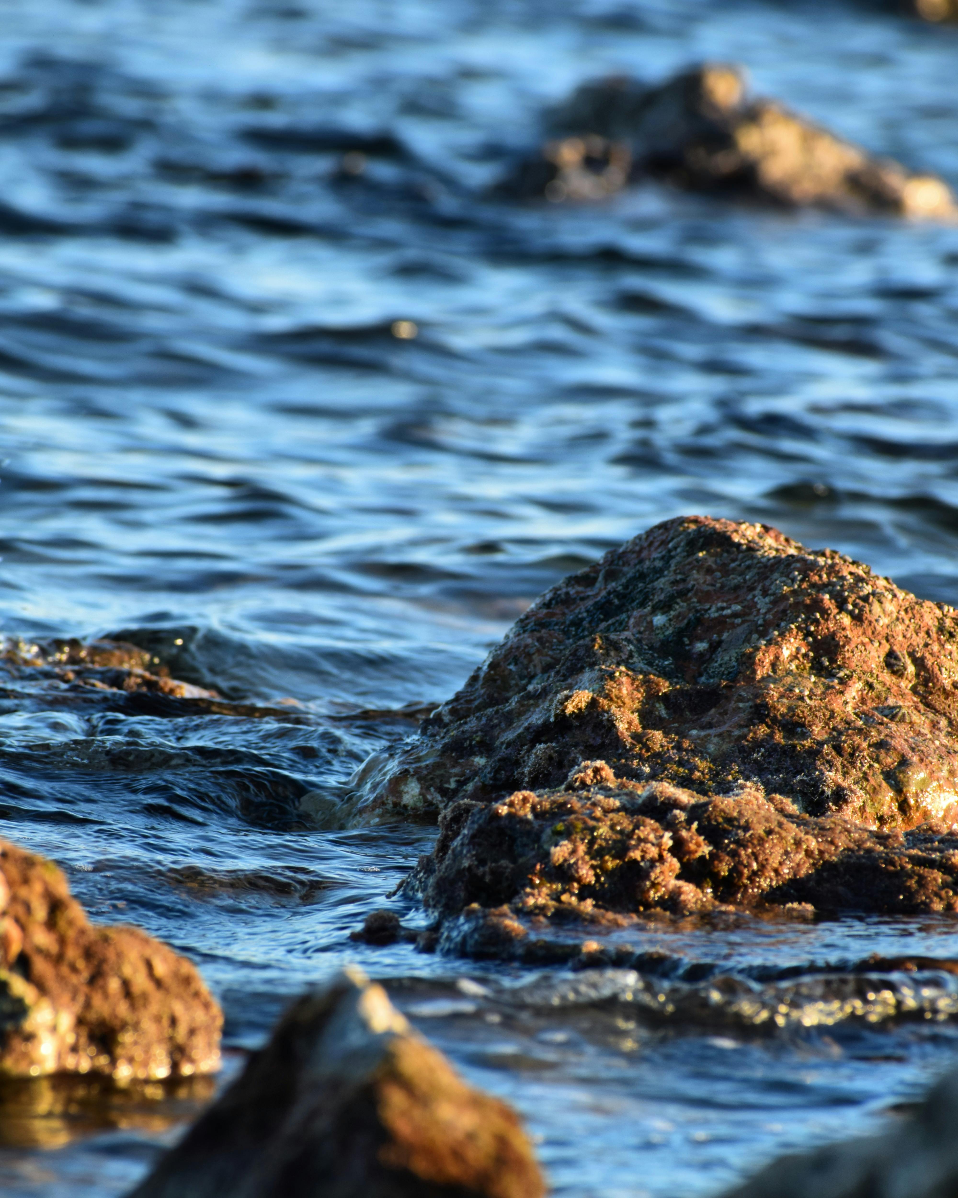 Rocks in Sea · Free Stock Photo