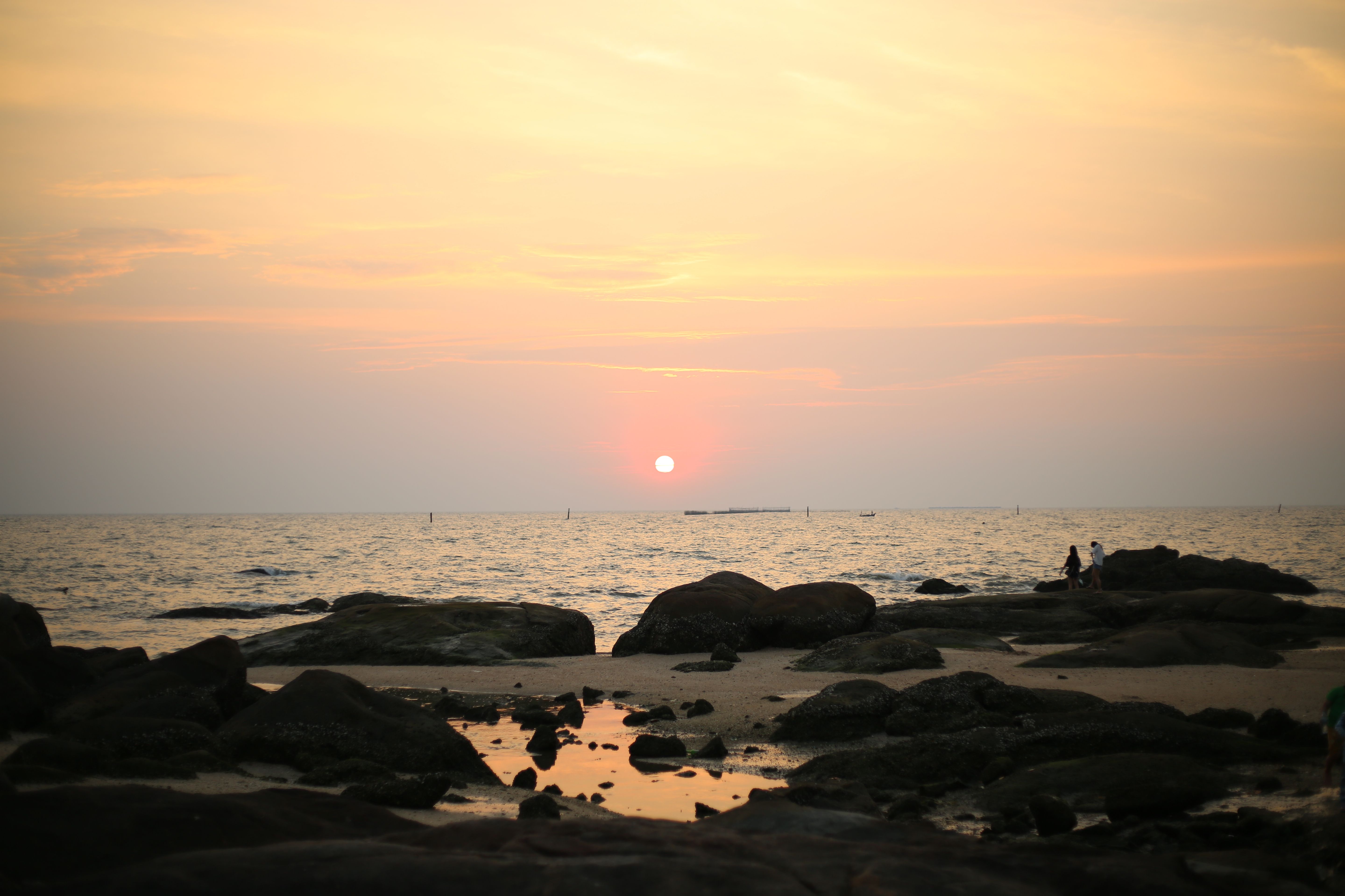 Anuchit - 写真