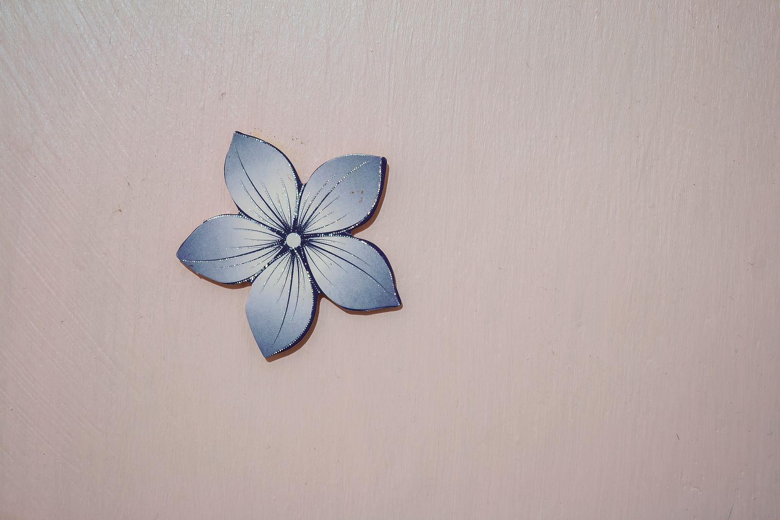 Plain Flower Photos, Download The BEST Free Plain Flower Stock Photos & HD Images