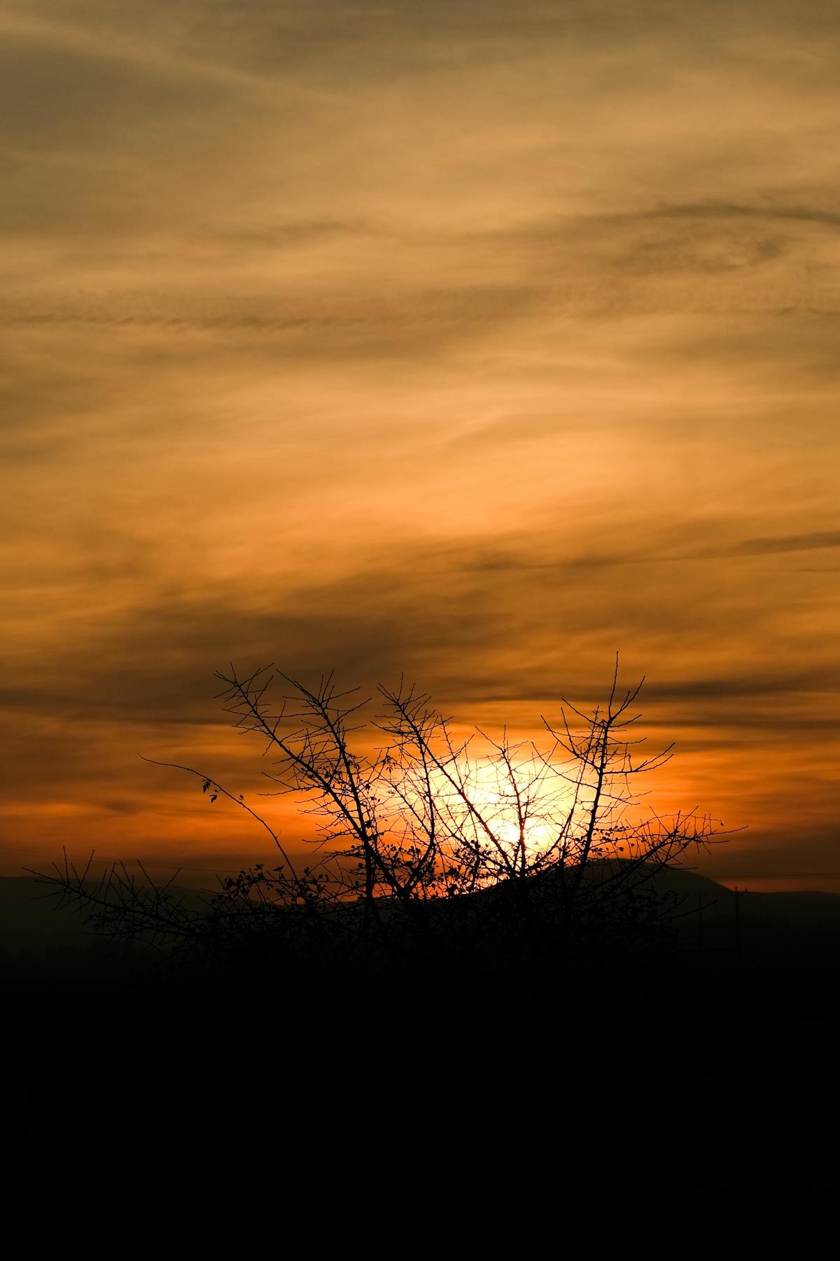 Yellow Sky Photos, Download The BEST Free Yellow Sky Stock Photos & HD ...