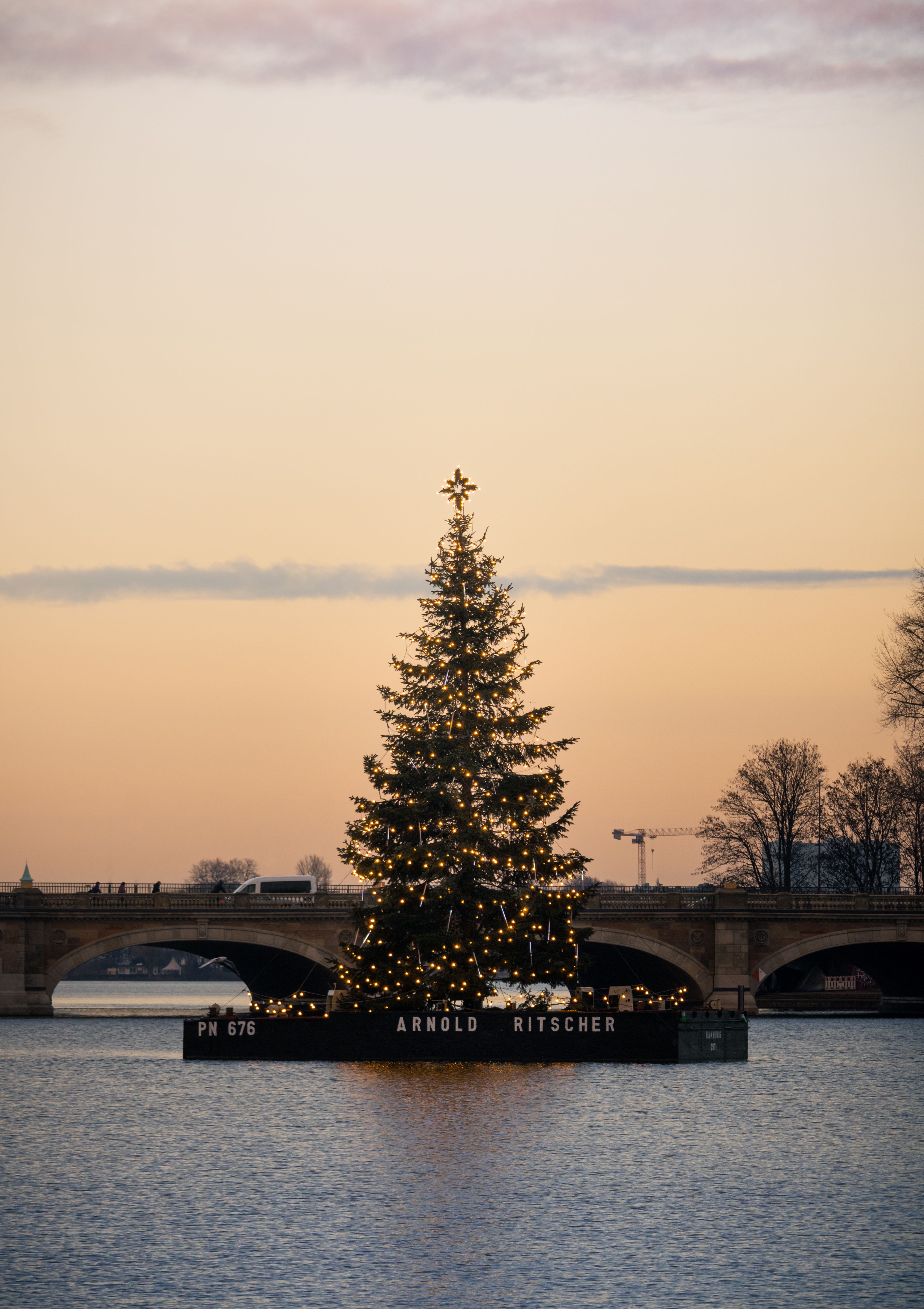Christmas tree on the river in front of a bridge · Free Stock Photo