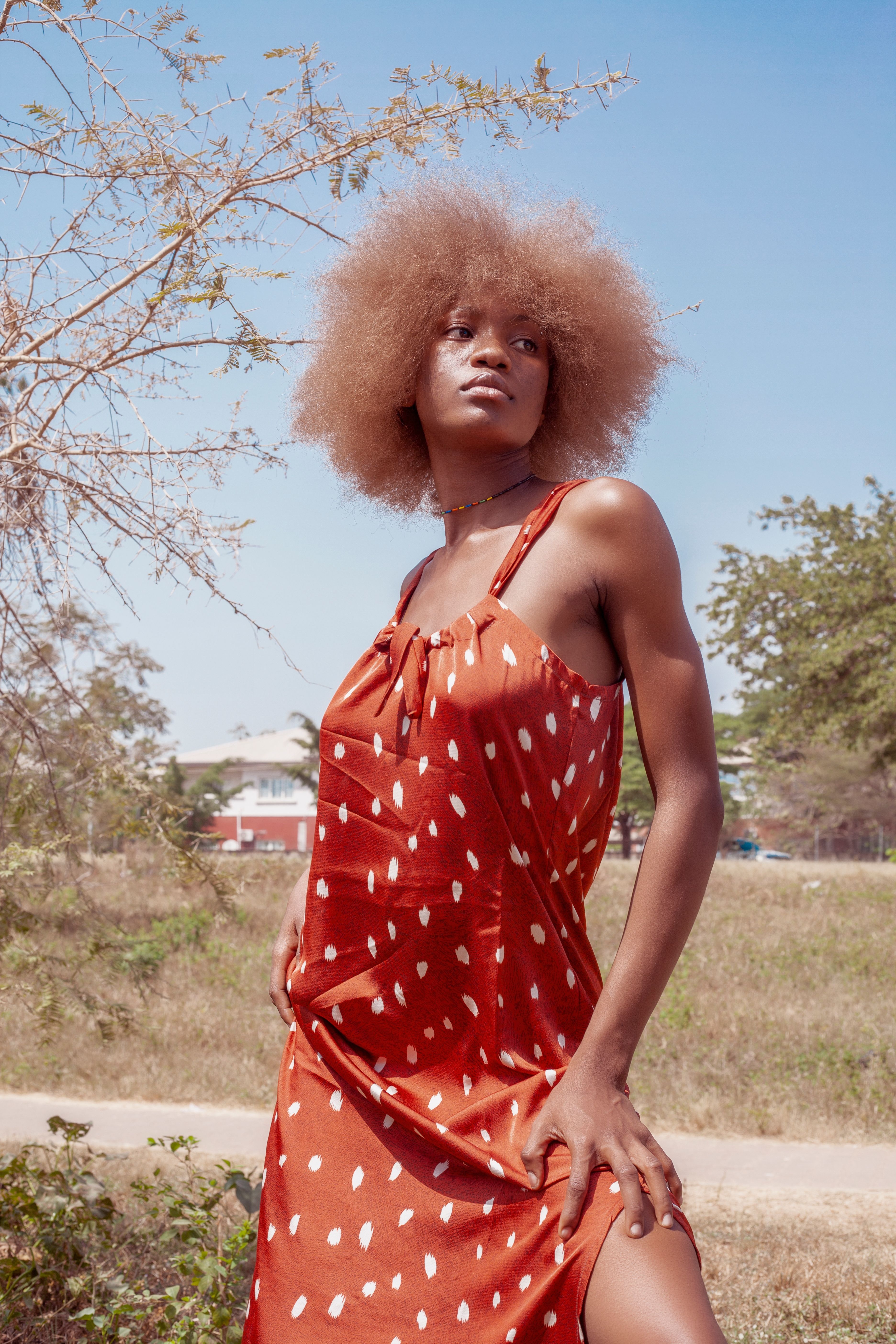 Woman with Afro Hair Wearing Orange Dress · Free Stock Photo