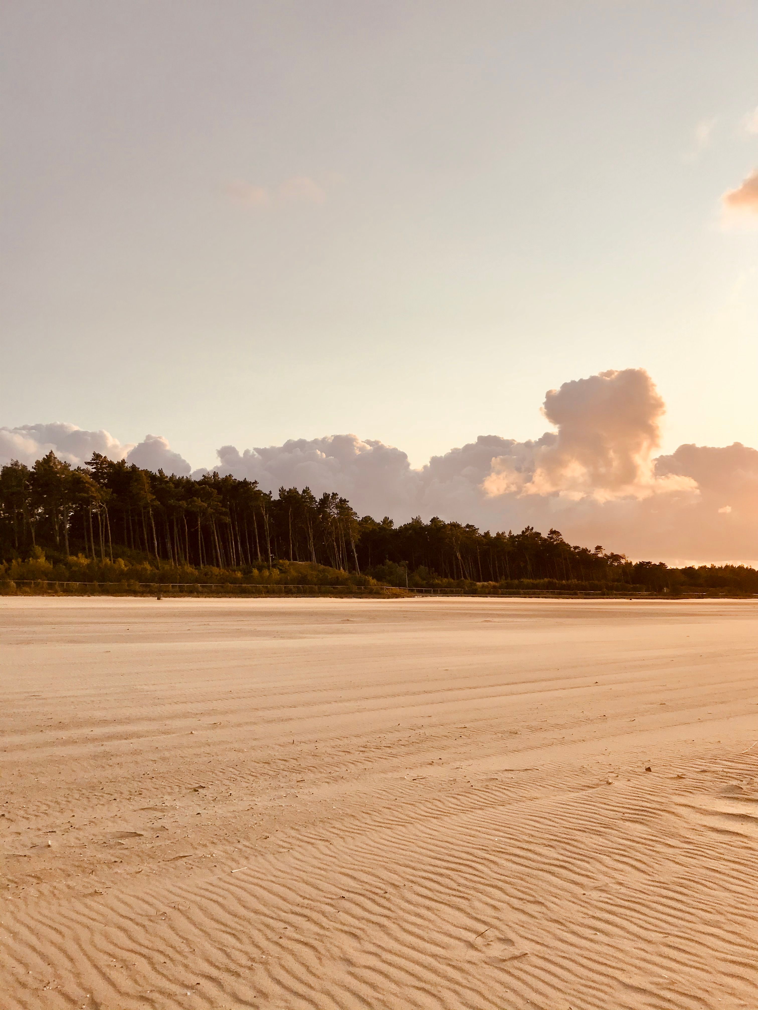Great Sandy Beach · Free Stock Photo