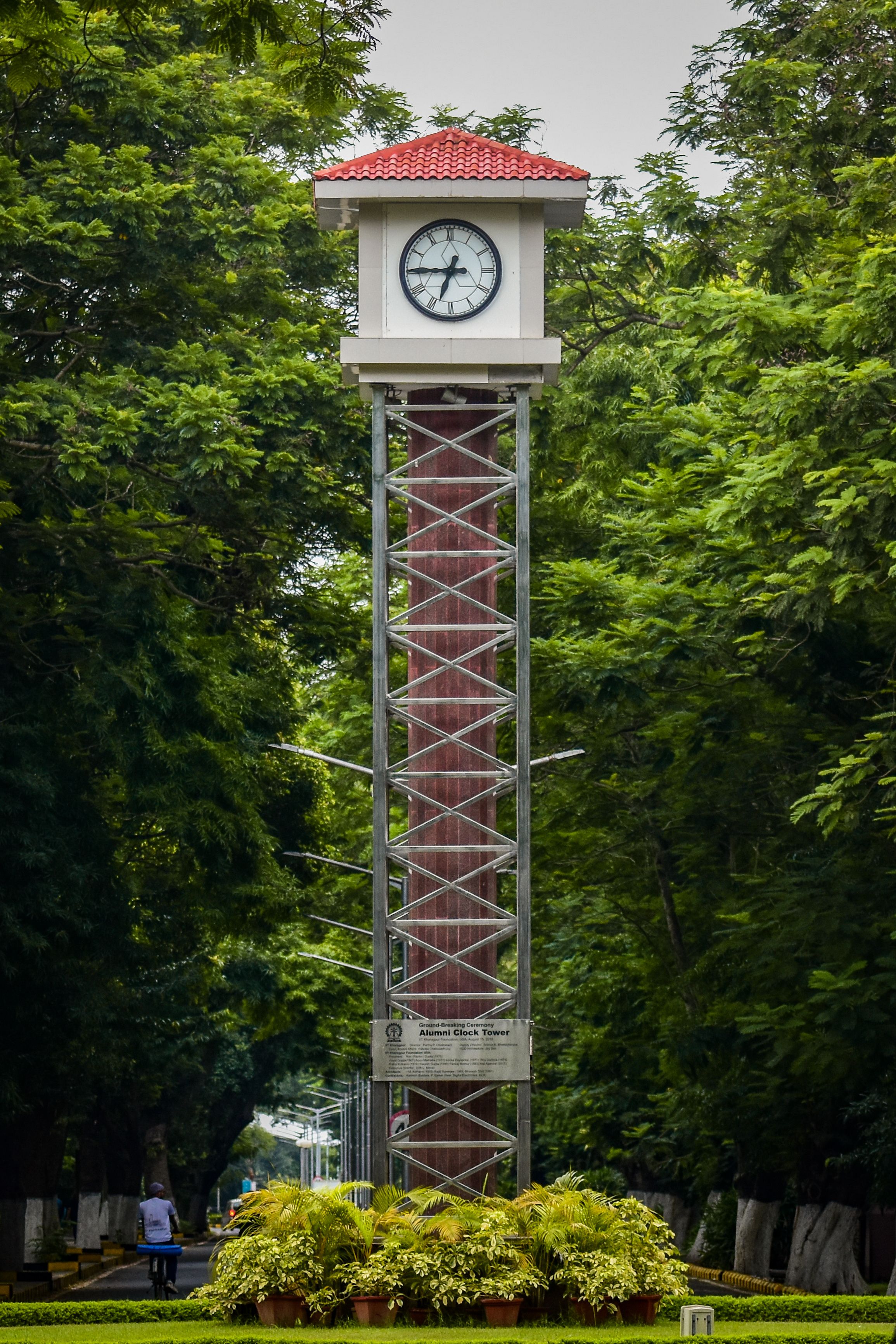Clock Tower in Summer Park · Free Stock Photo