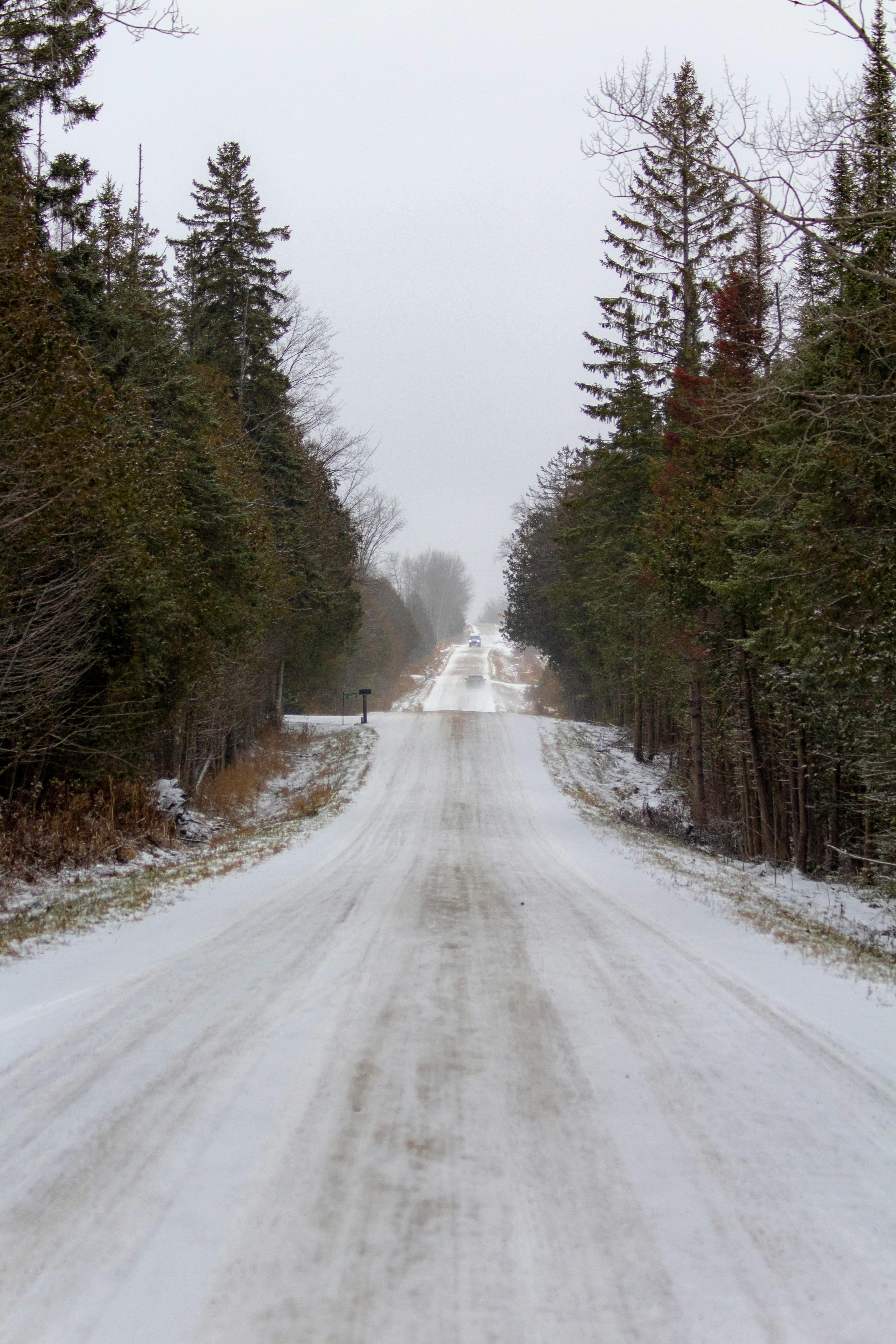 Snow-Covered Road between Green Trees · Free Stock Photo