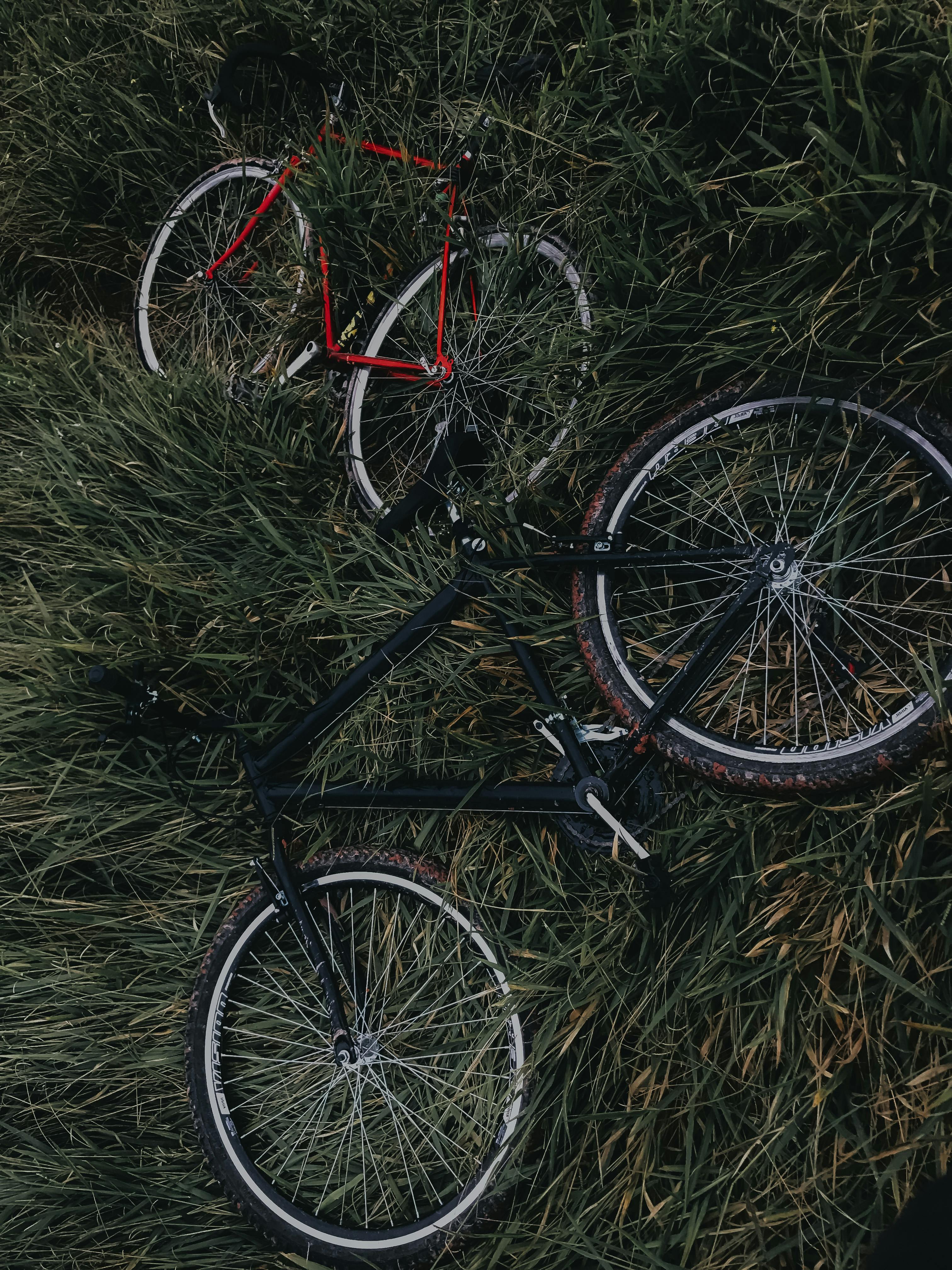 Bad Composition Photos, Download The BEST Free Bad Composition Stock ...