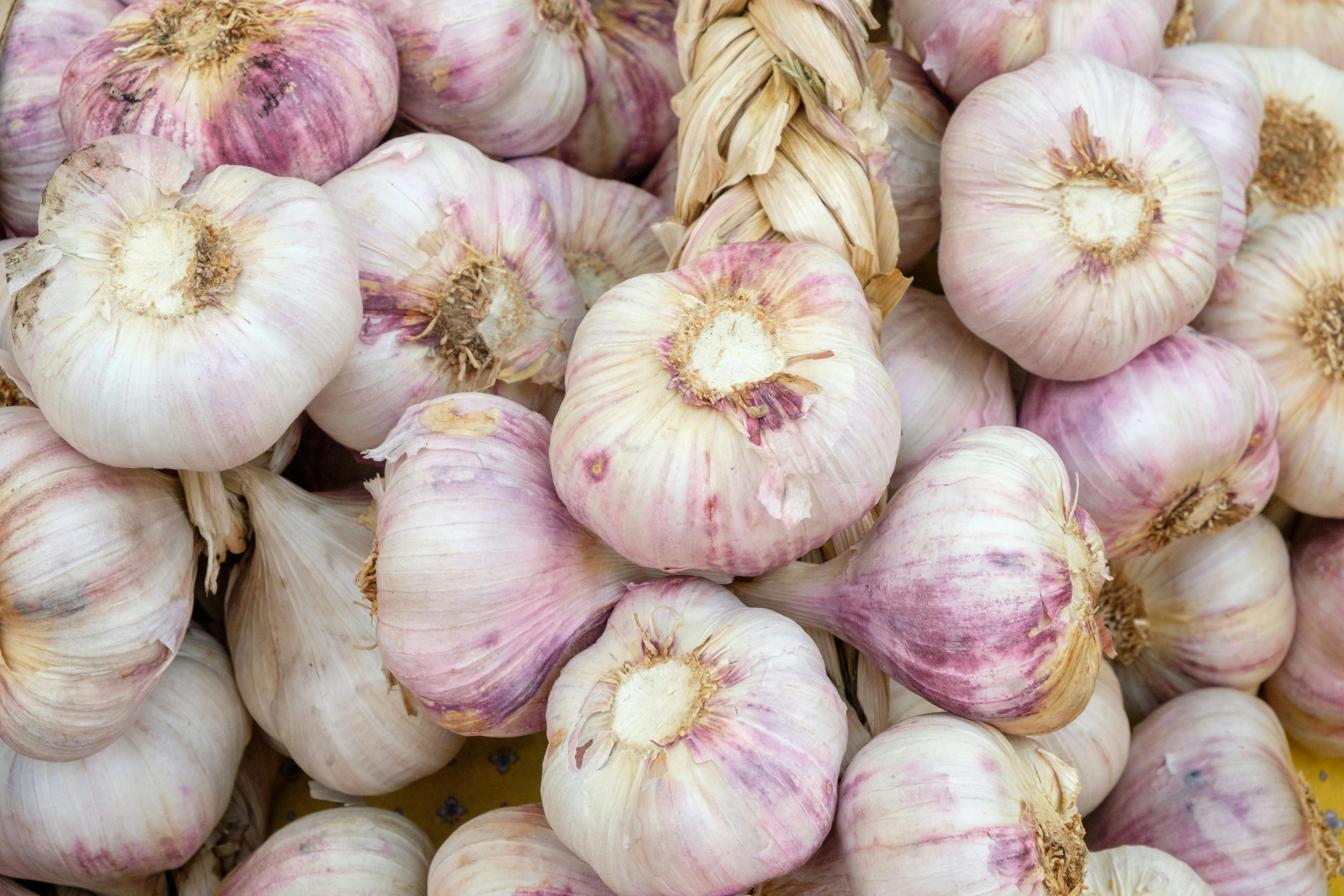 Close-Up Photo Of Garlic Chives · Free Stock Photo