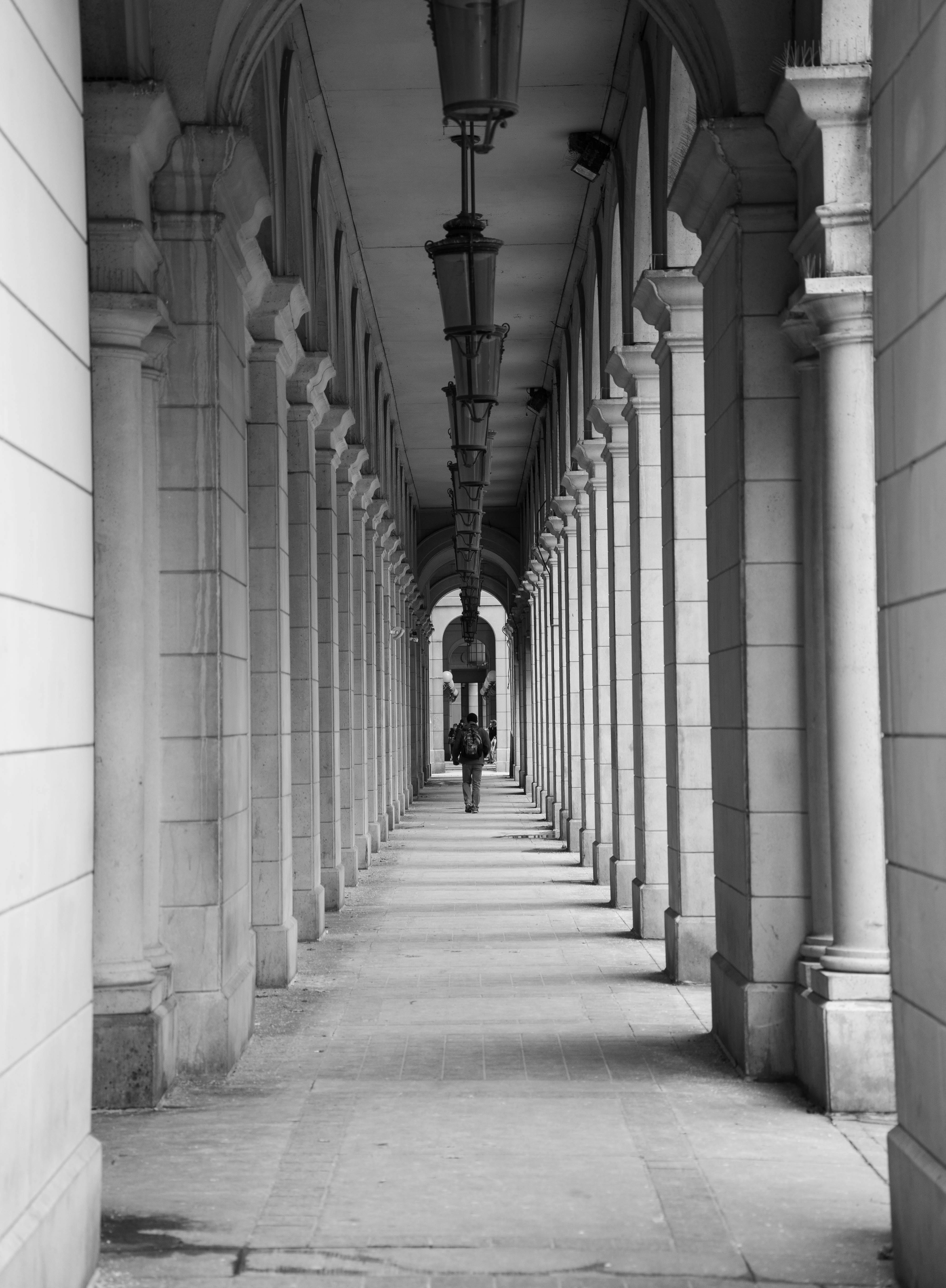 Egyptian Columns Corridor Photos, Download The BEST Free Egyptian ...