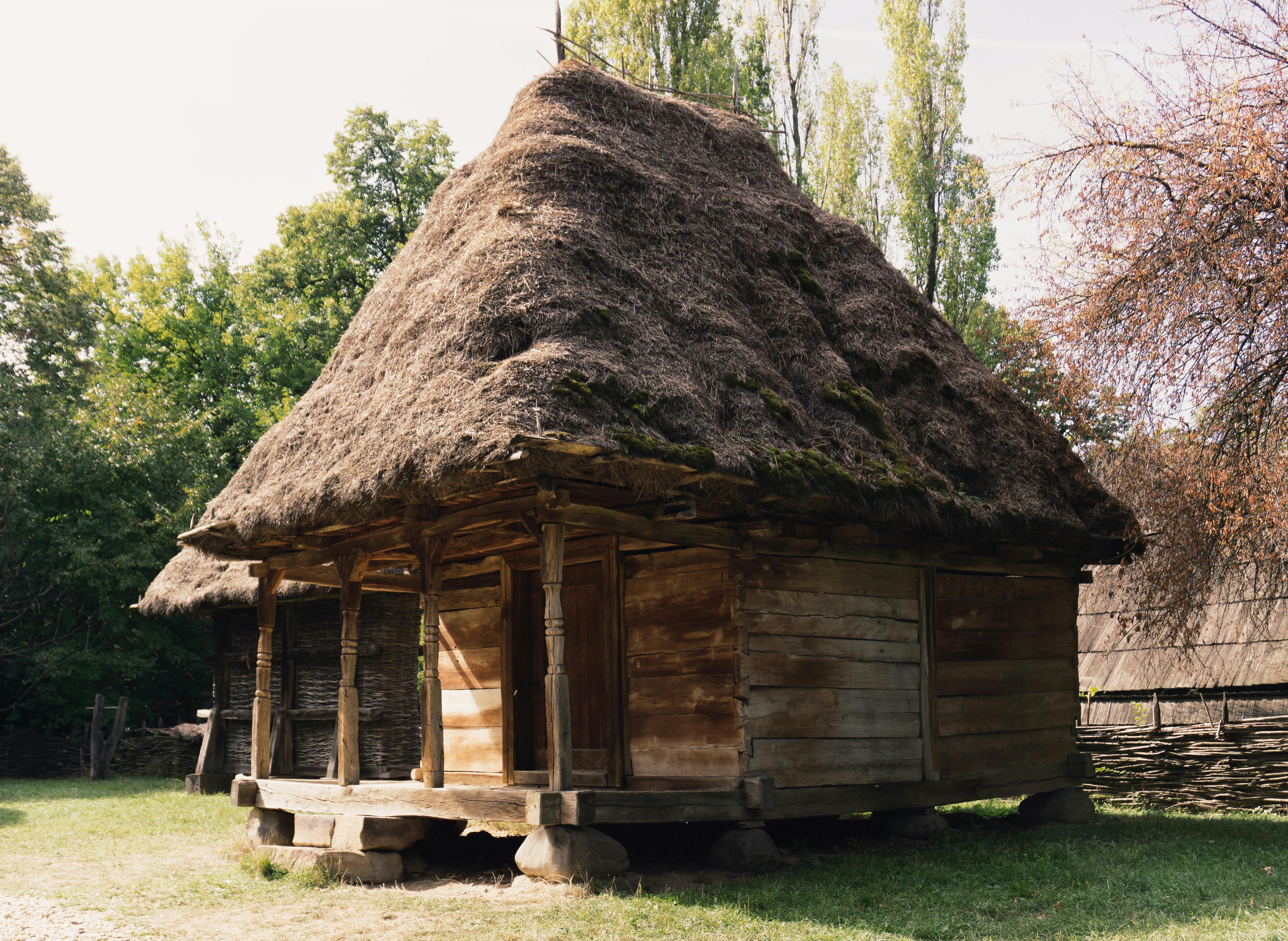 Thatched Wooden Hut · Free Stock Photo