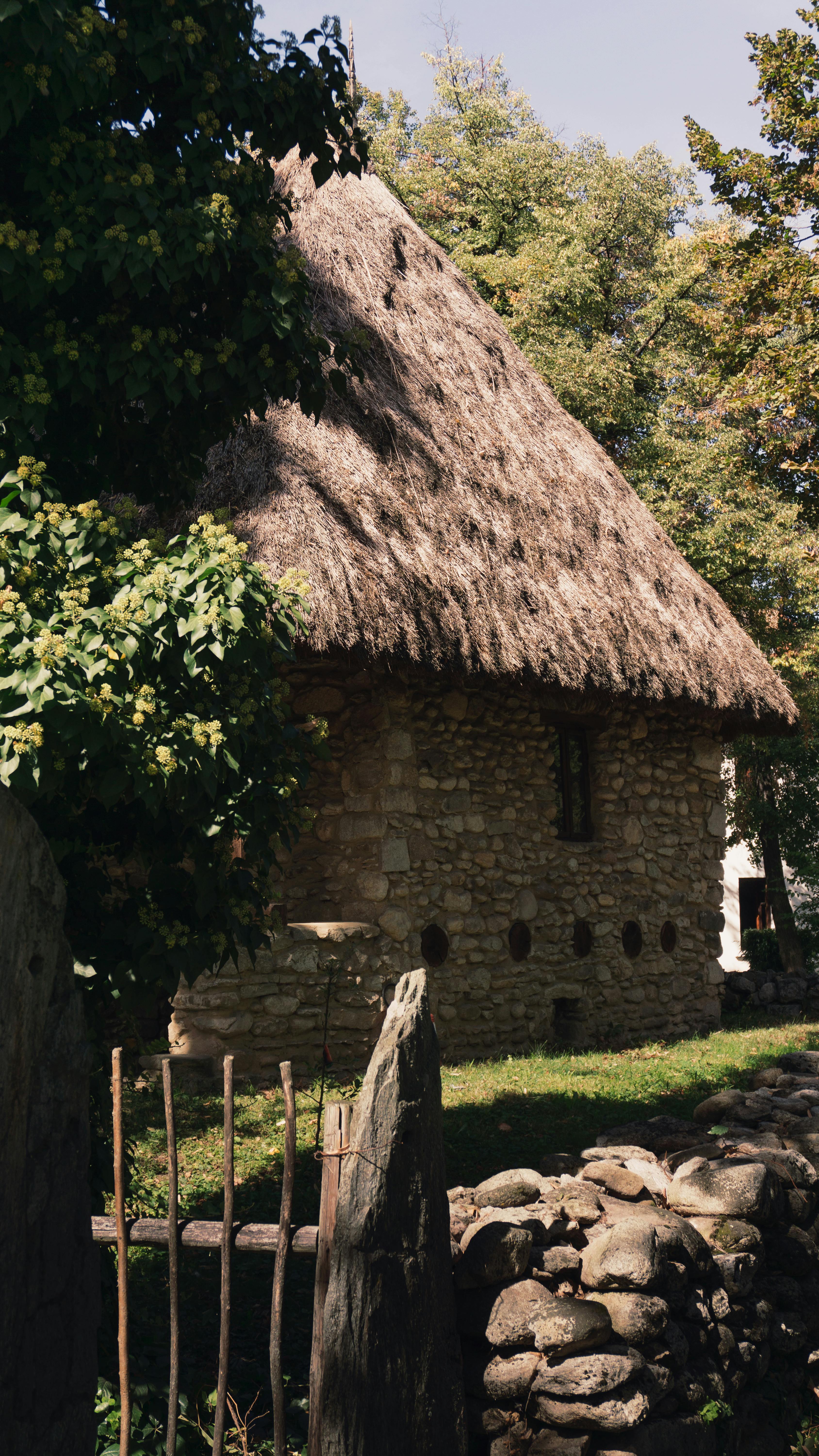 Thatched House Photos, Download The BEST Free Thatched House Stock ...