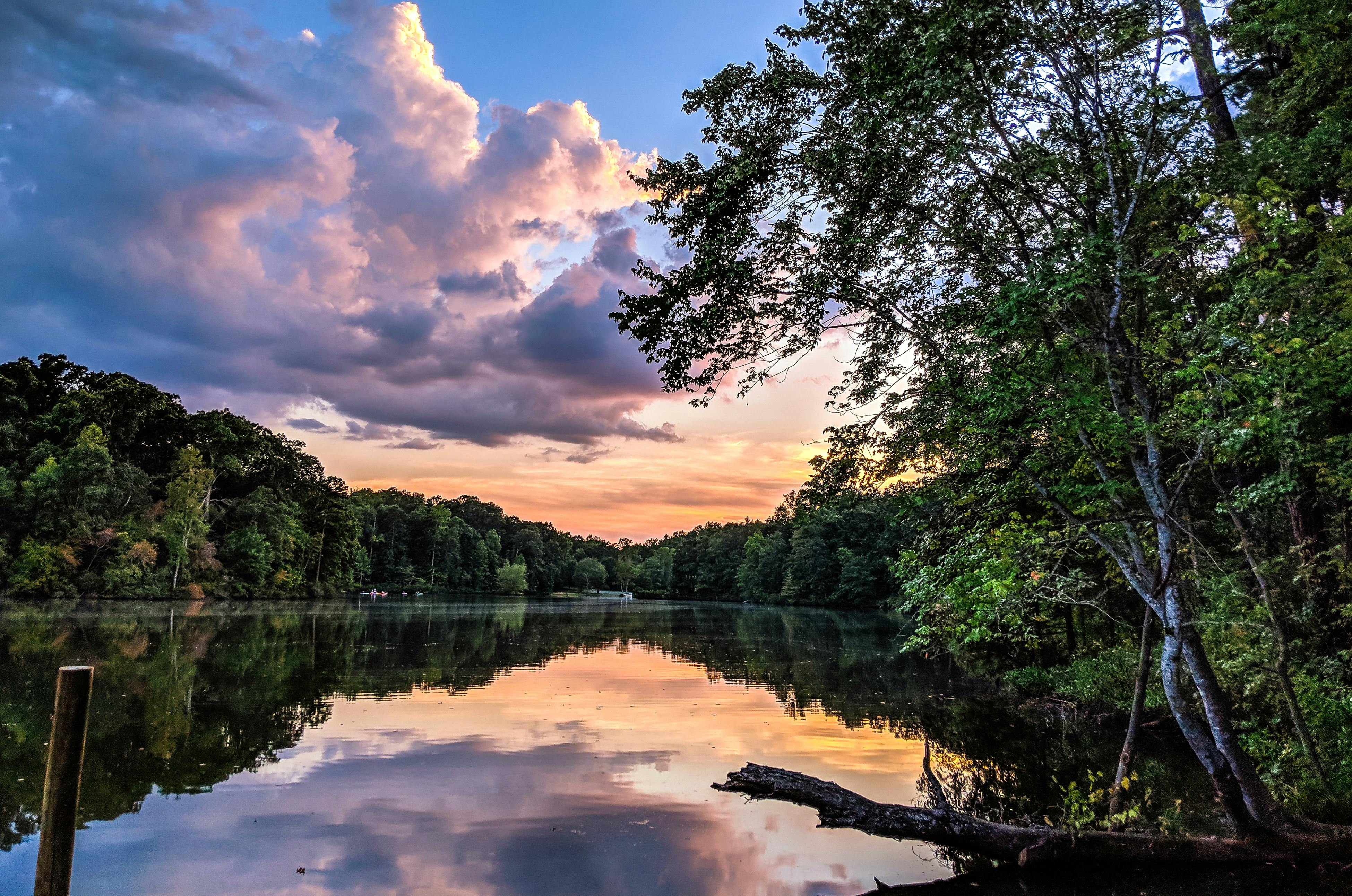 Scenic Photo of a River · Free Stock Photo
