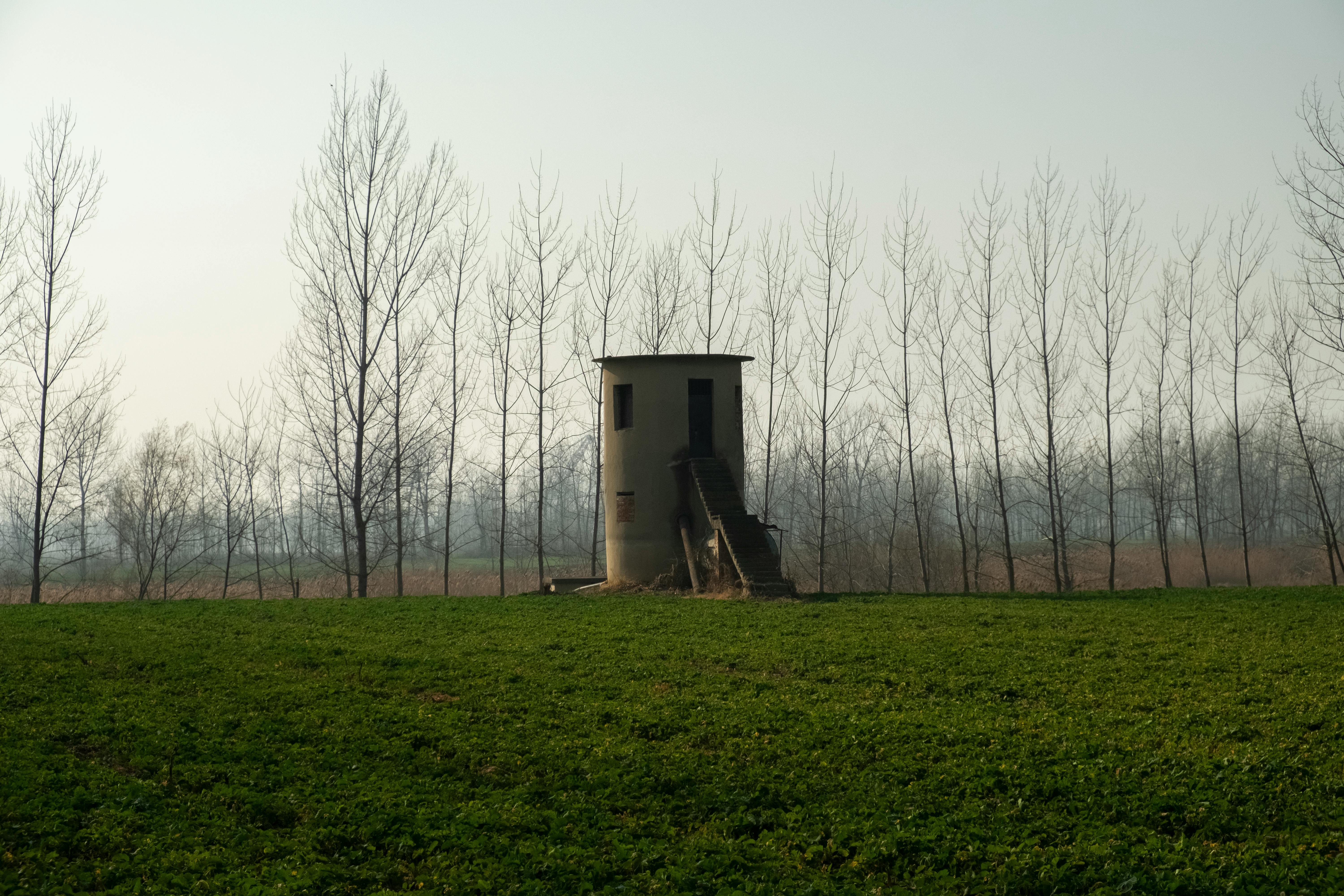 Planted Rectangular Field Photos, Download The BEST Free Planted ...