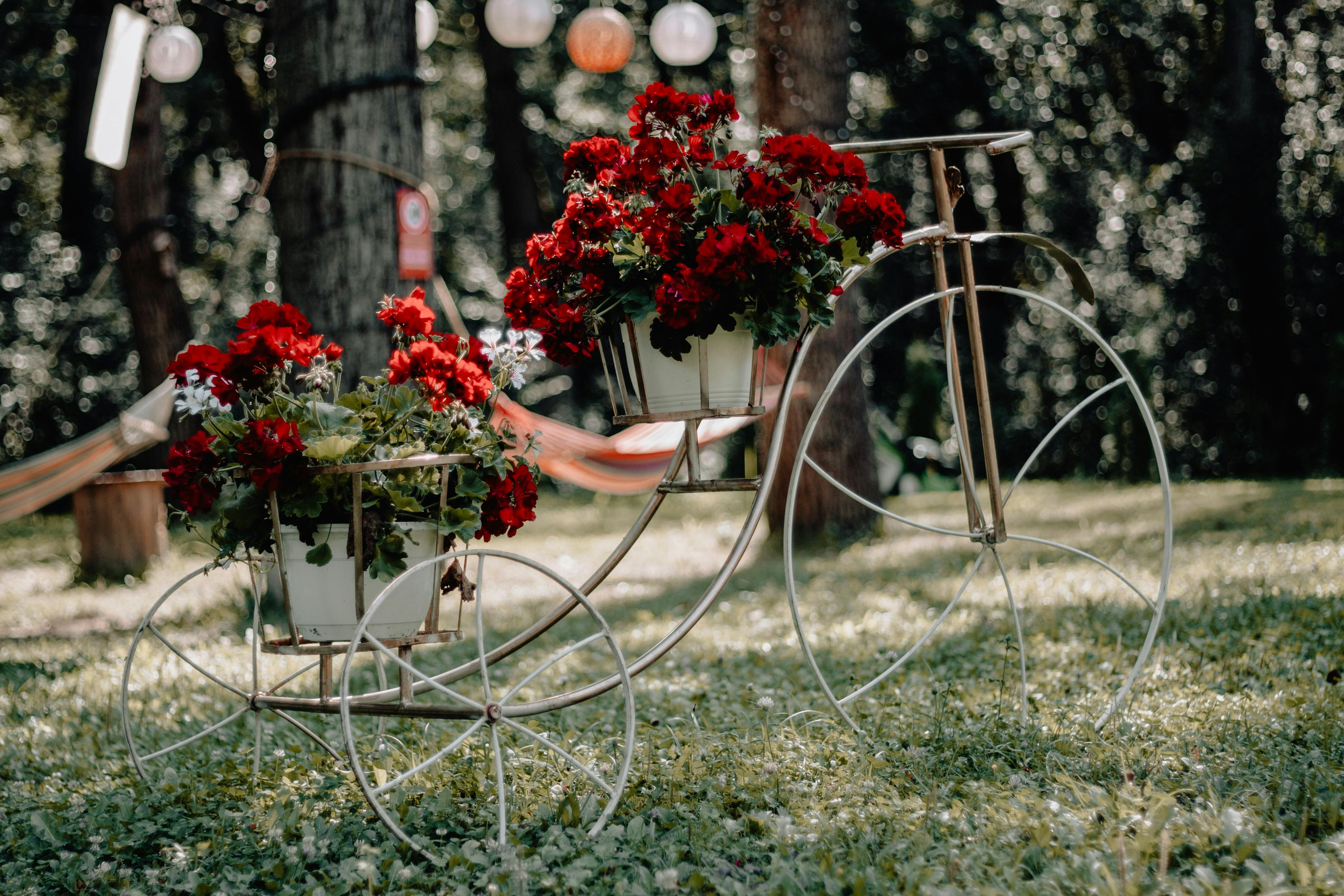 Mortar Bicycle Wallpaper Photos, Download The BEST Free Mortar Bicycle ...