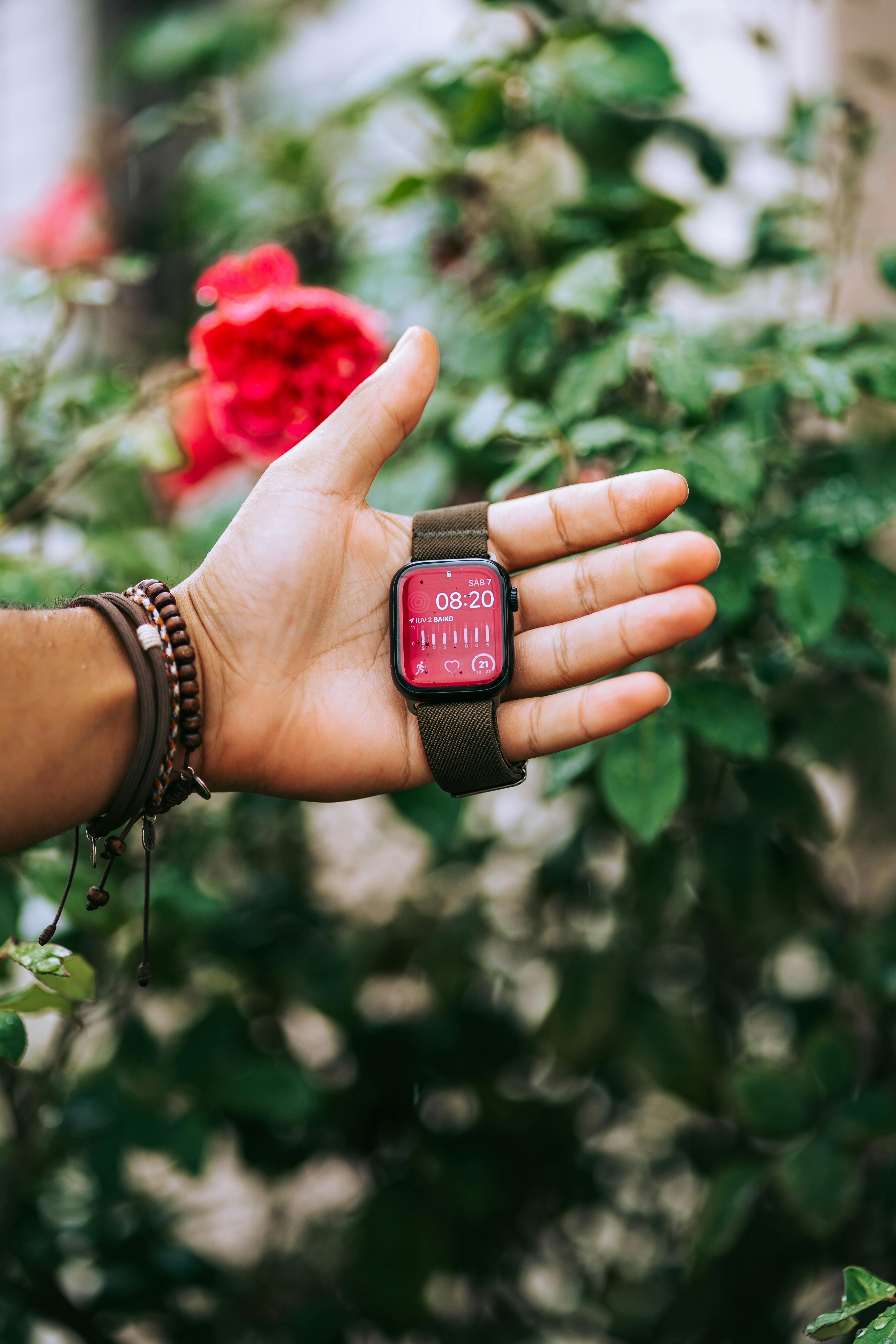 Smartwatches Photos, Download The BEST Free Smartwatches Stock Photos ...