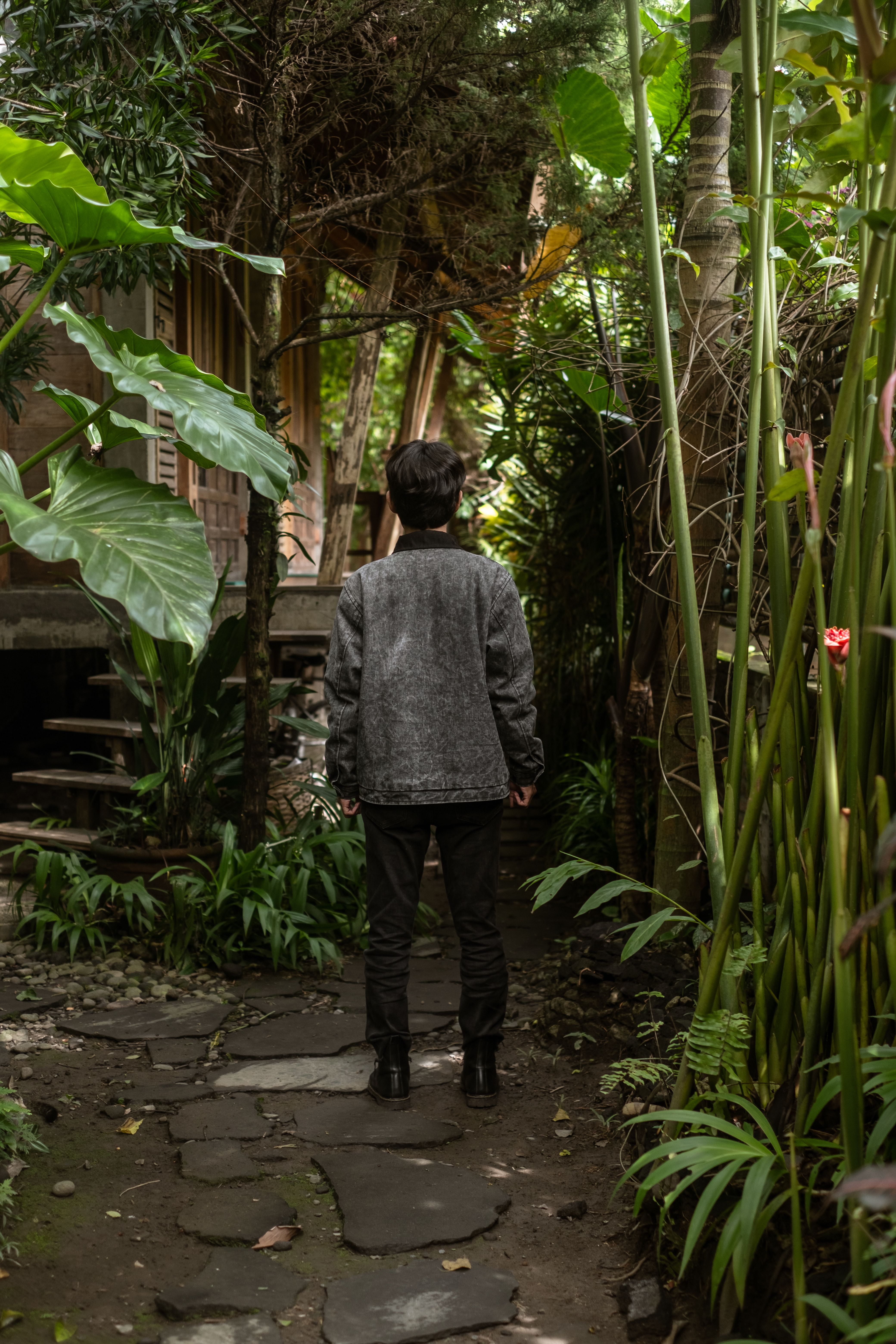 Man Standing by Cabin in Jungle · Free Stock Photo
