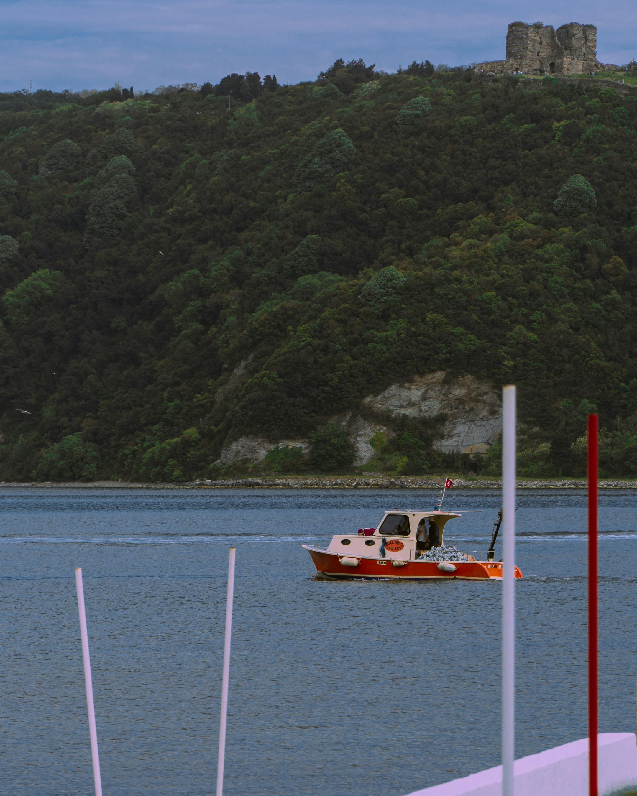 Photo of a Seacoast · Free Stock Photo