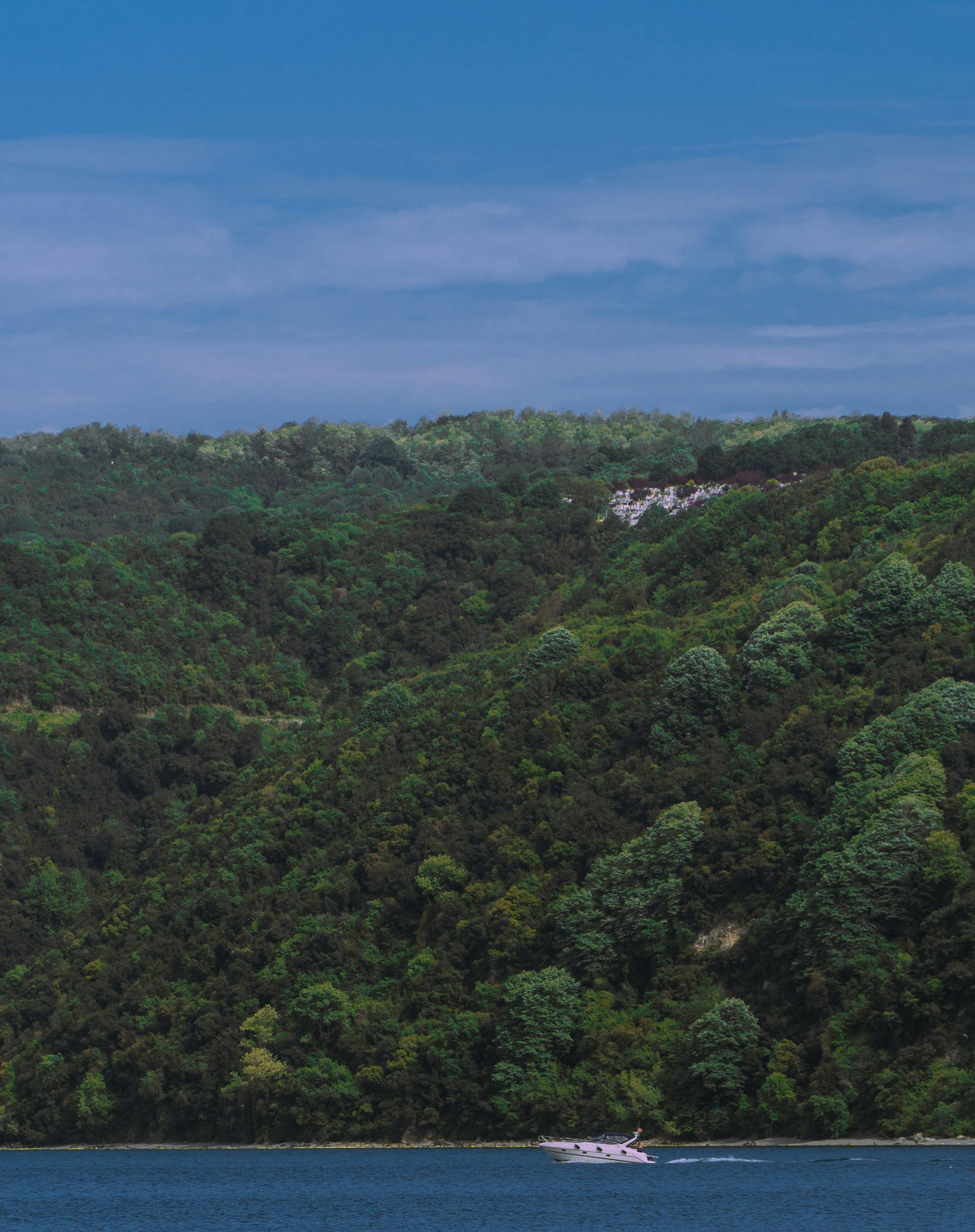 Photo of a Seacoast · Free Stock Photo