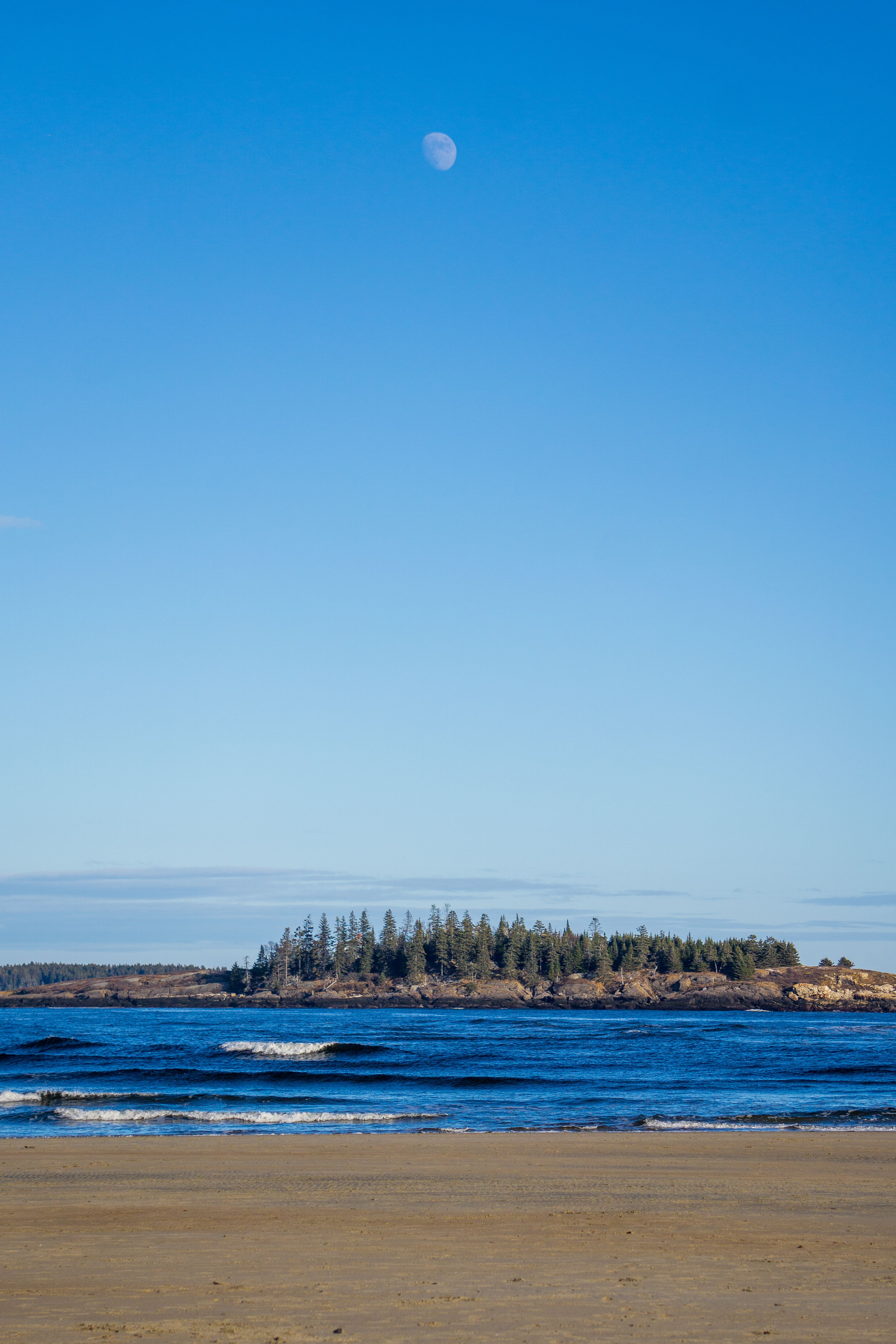 Wooded Coastline Photos, Download The BEST Free Wooded Coastline Stock ...