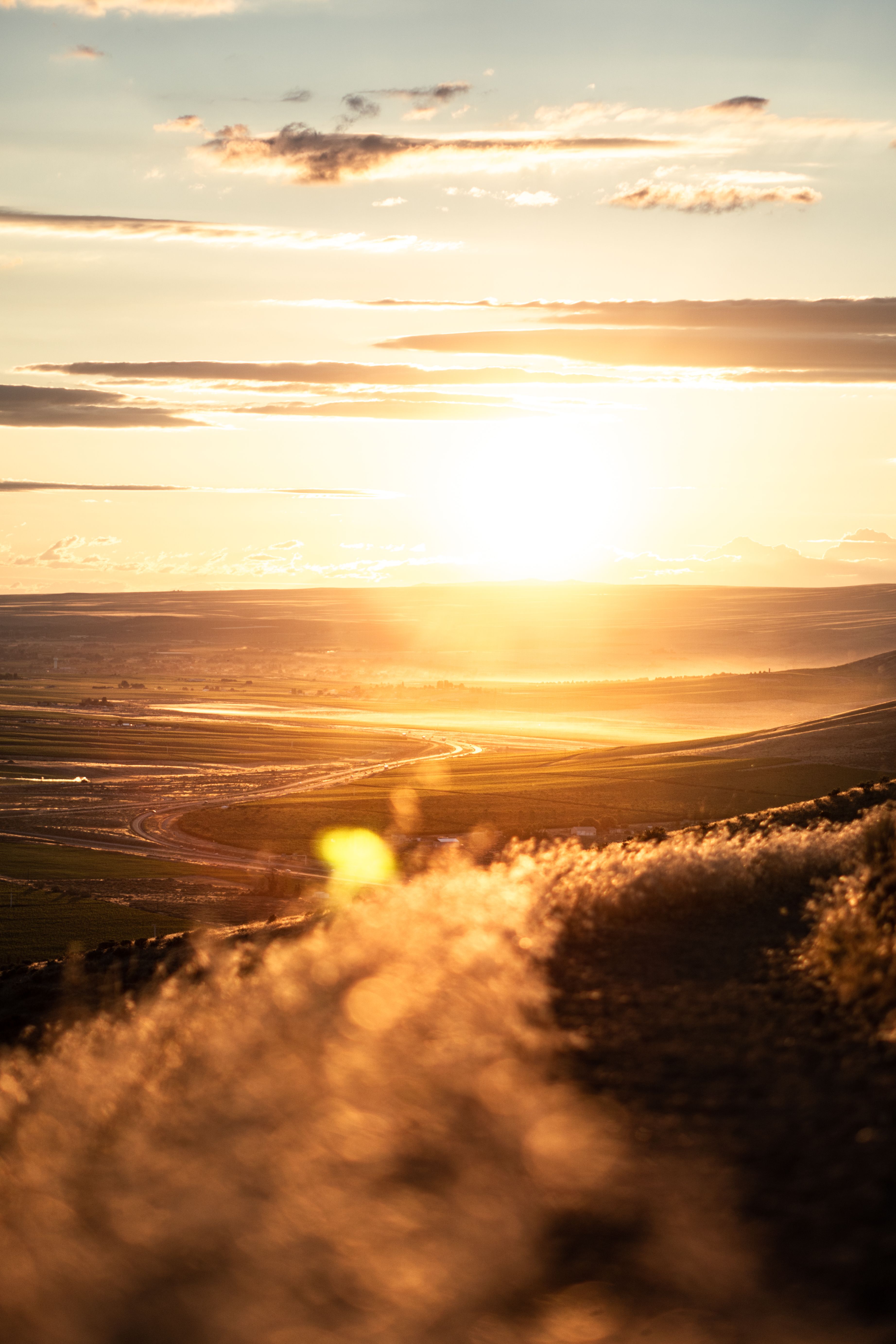 Field At Sunset Photos, Download The BEST Free Field At Sunset Stock ...