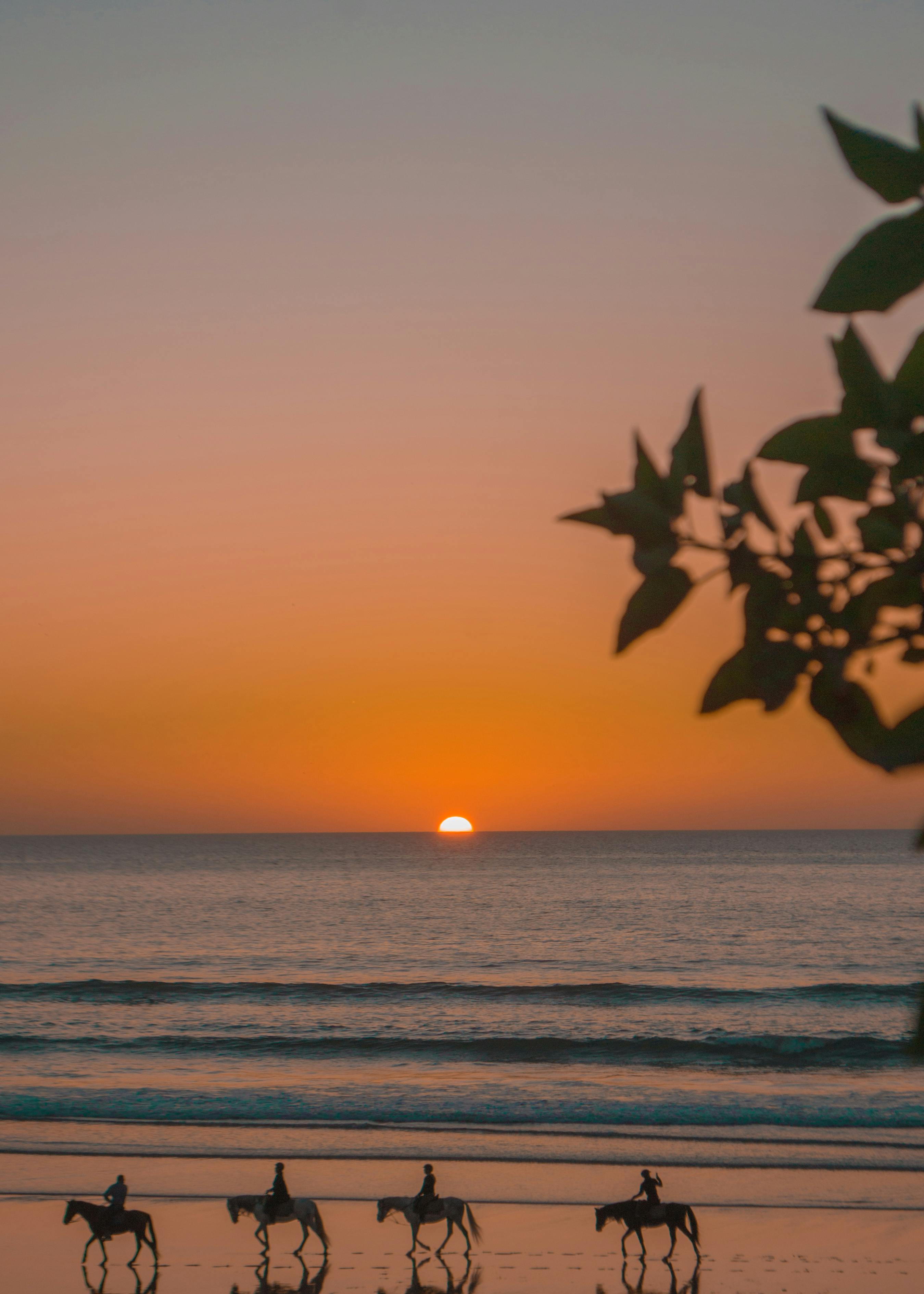 People Horseback Riding along Sea at Sunset · Free Stock Photo