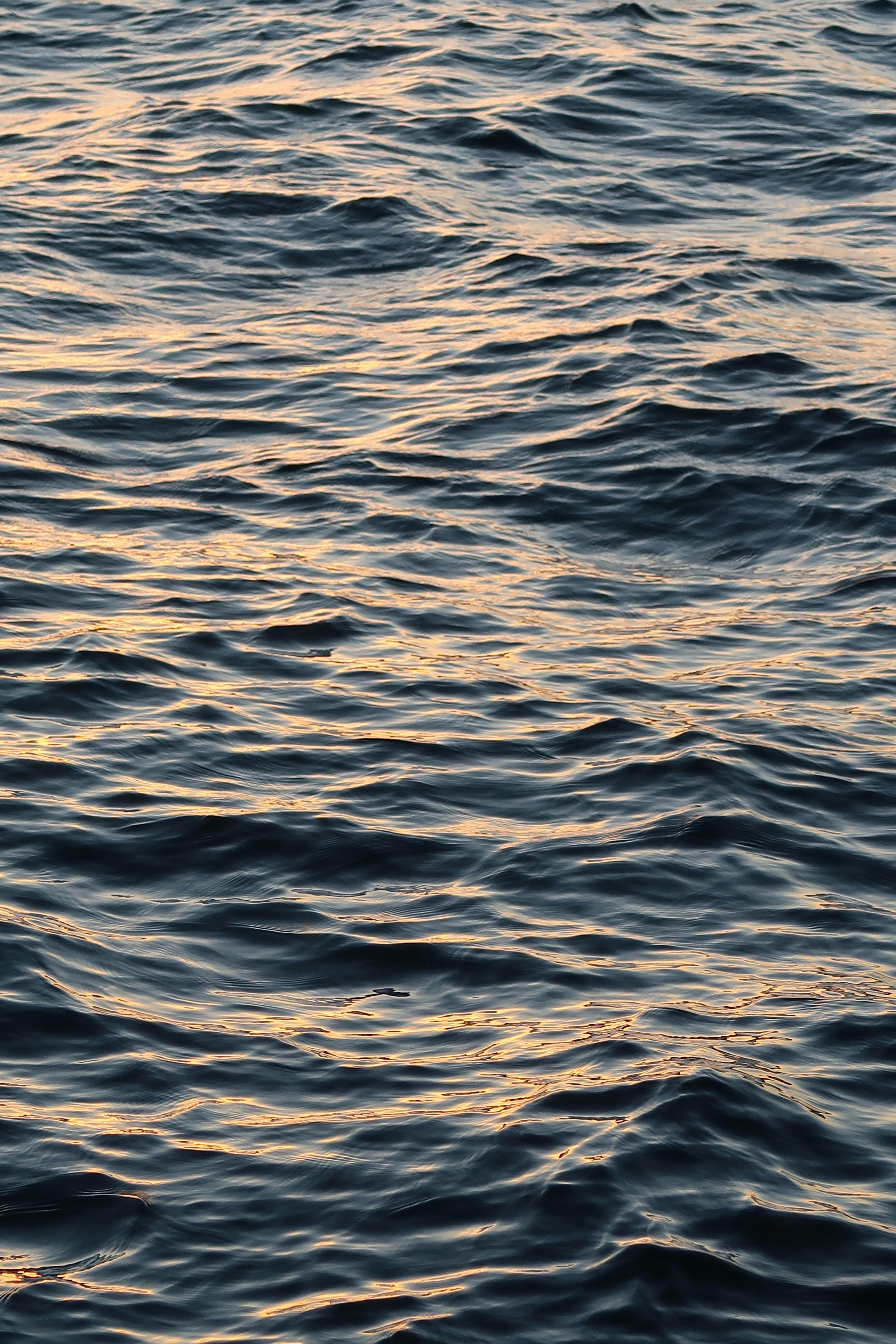 Sea Surface Texture · Free Stock Photo