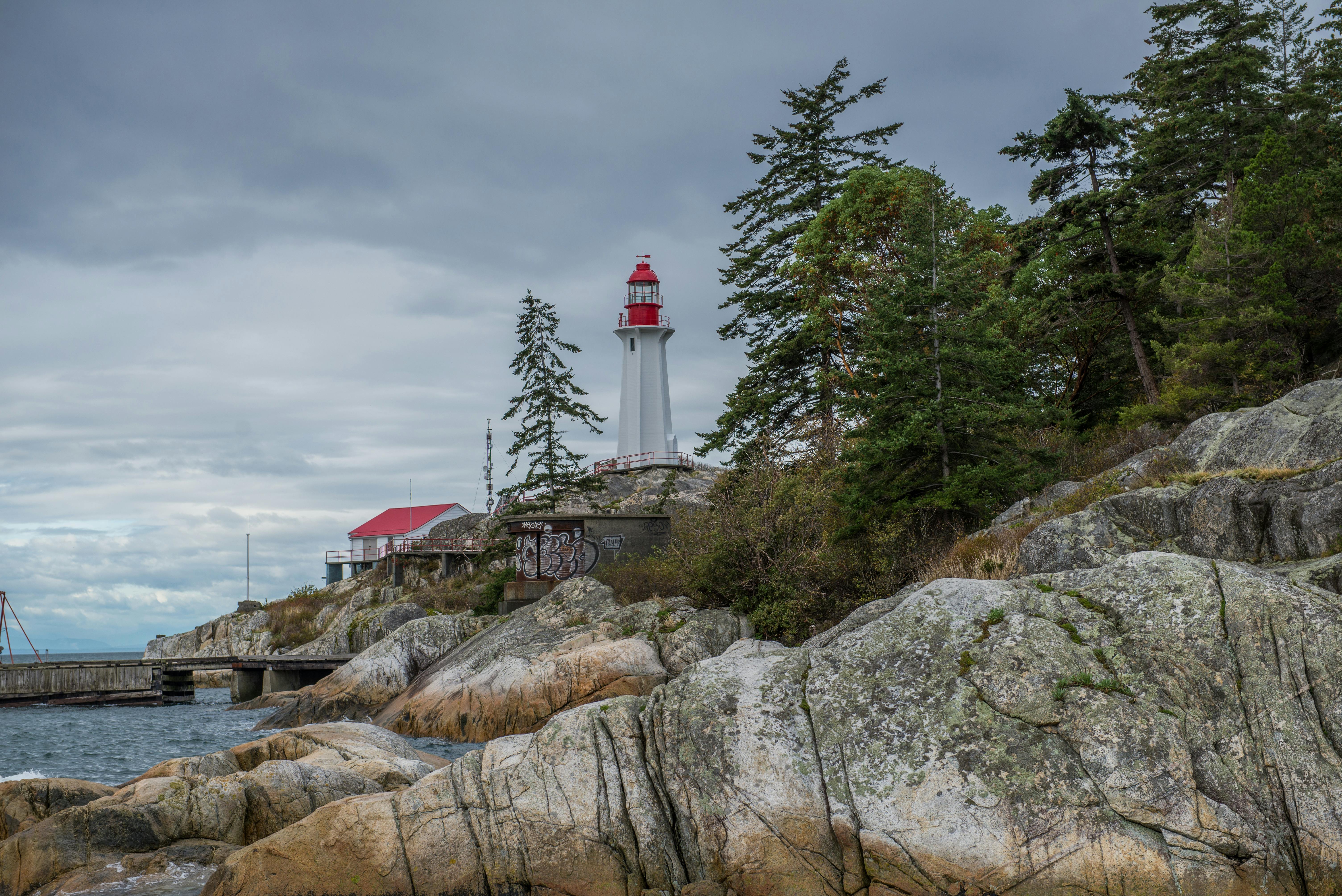 Forest Navigation Photos, Download The BEST Free Forest Navigation ...