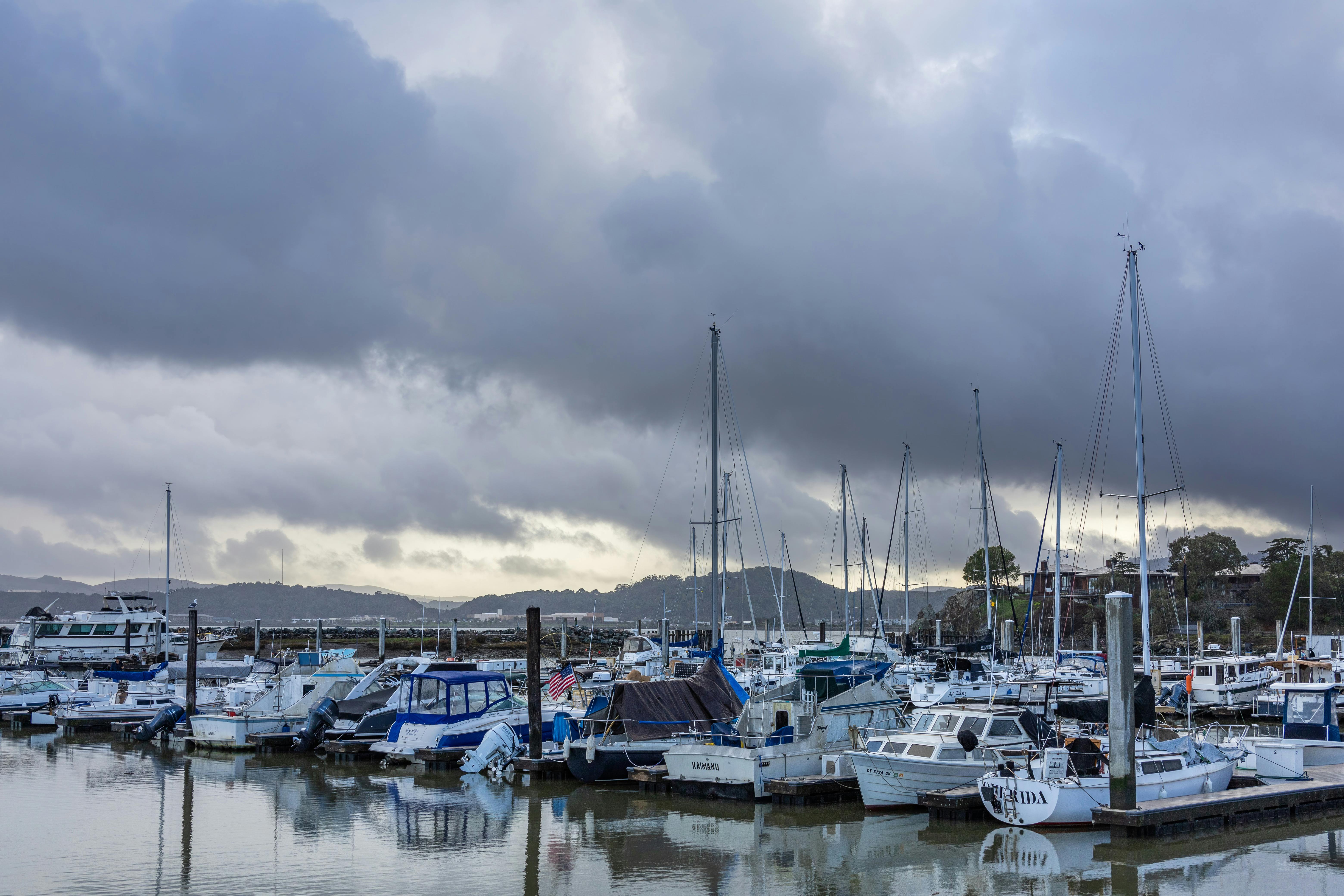 Motor Boats in the Marina Harbor · Free Stock Photo