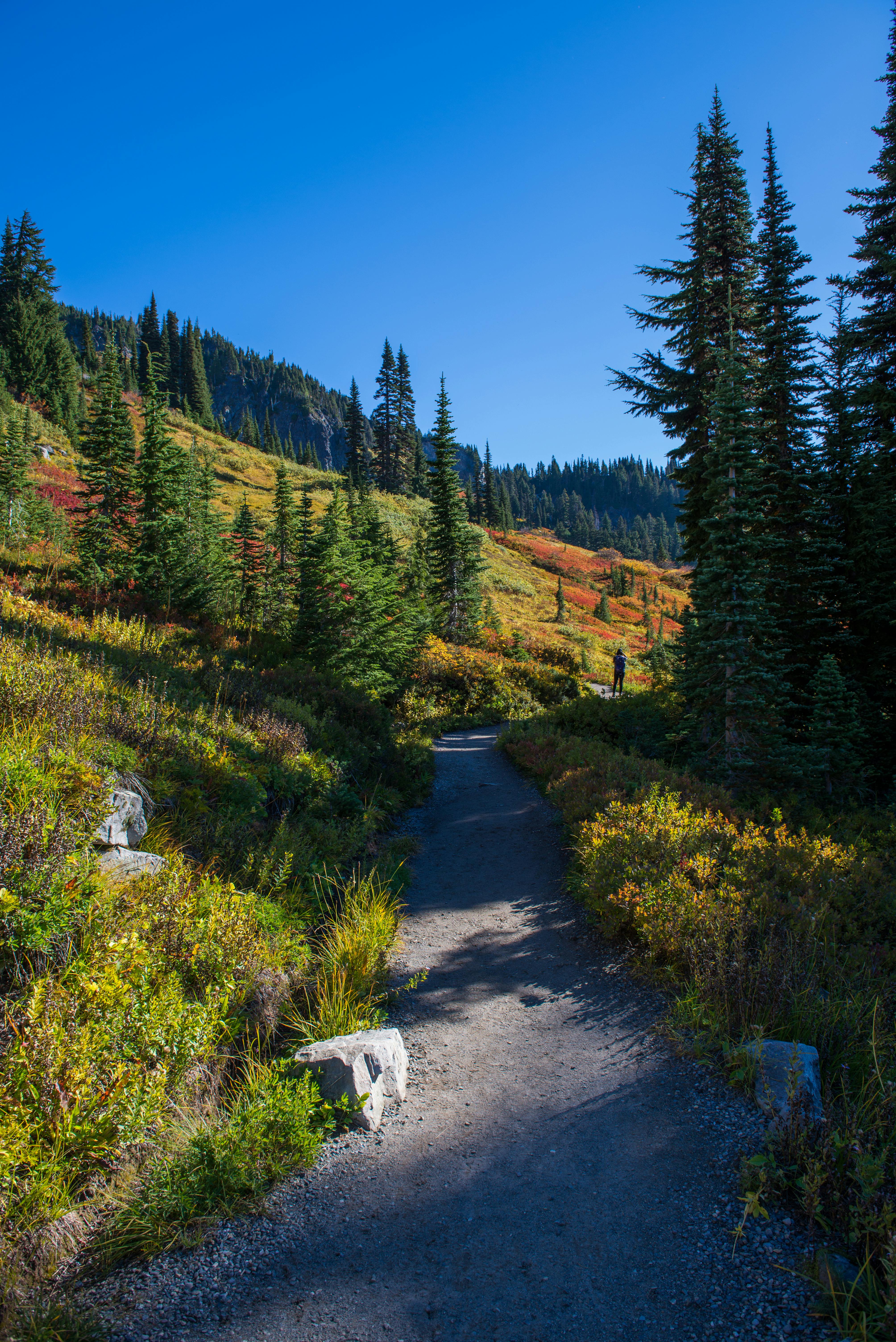 Tree Shadows Cast on Trail through Mountains · Free Stock Photo