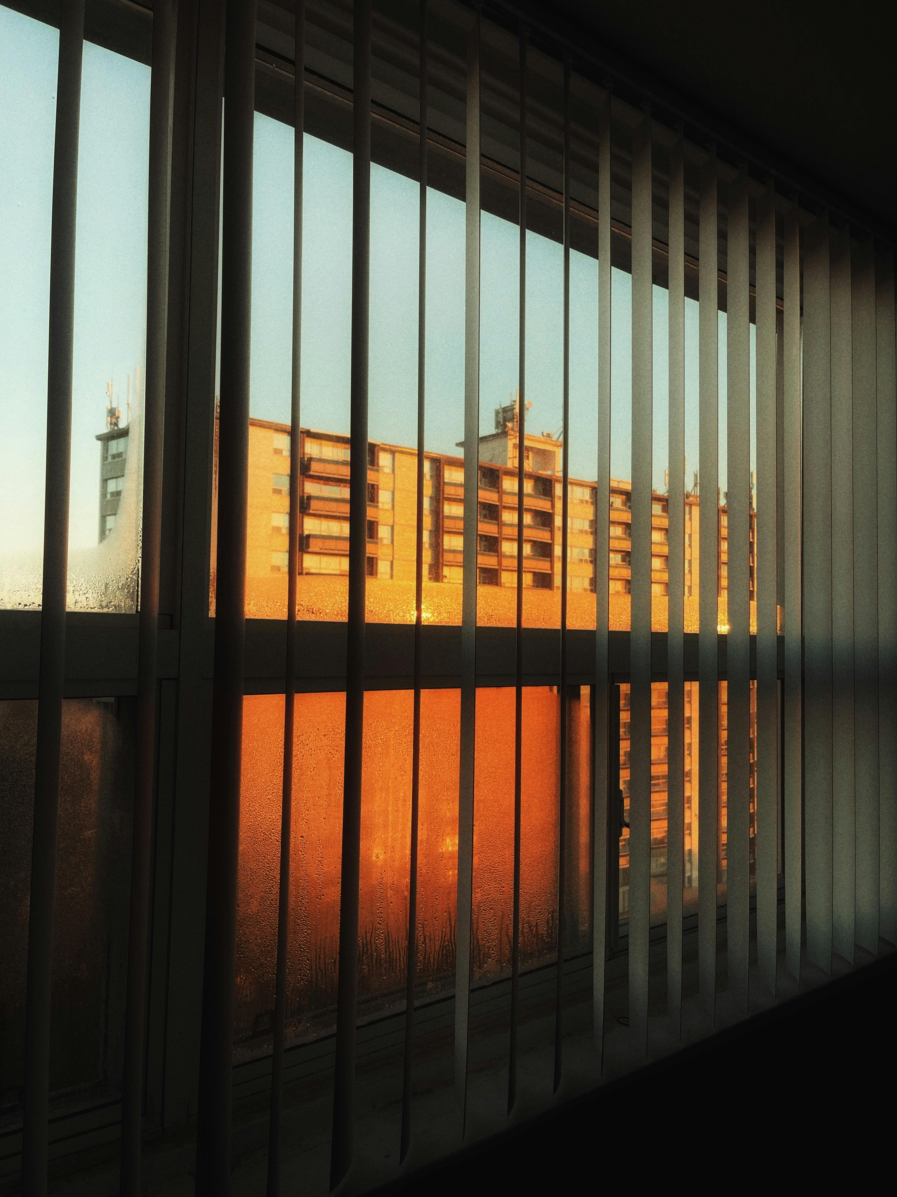 Residential Building behind Windows · Free Stock Photo