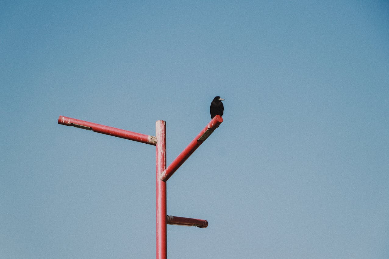 Who Is Sam Crow on Sons of Anarchy? [Comprehensive Answer] - CGAA.org