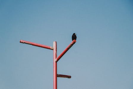 Who Is Sam Crow on Sons of Anarchy? [Comprehensive Answer] - CGAA.org