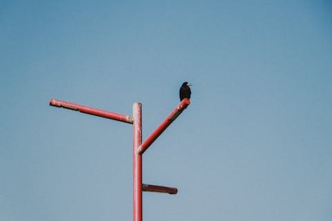 Who Is Sam Crow on Sons of Anarchy? [Comprehensive Answer] - CGAA.org