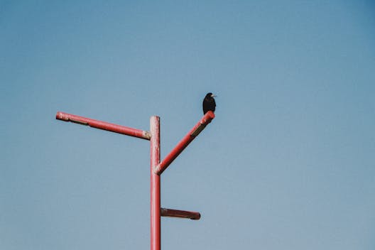 Who Is Sam Crow on Sons of Anarchy? [Comprehensive Answer] - CGAA.org