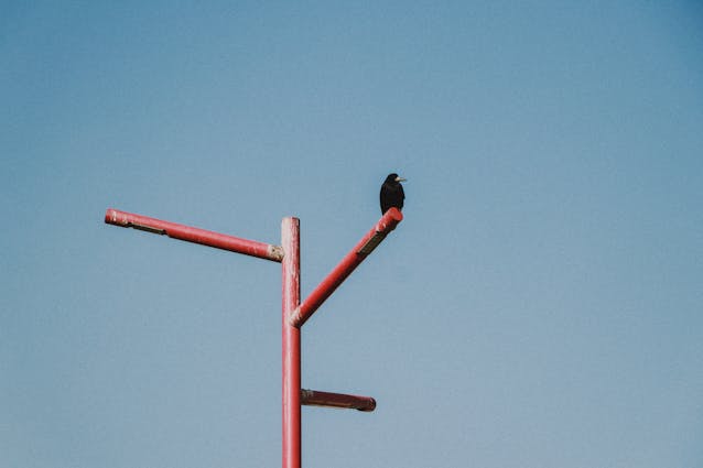 Who Is Sam Crow on Sons of Anarchy? [Comprehensive Answer] - CGAA.org