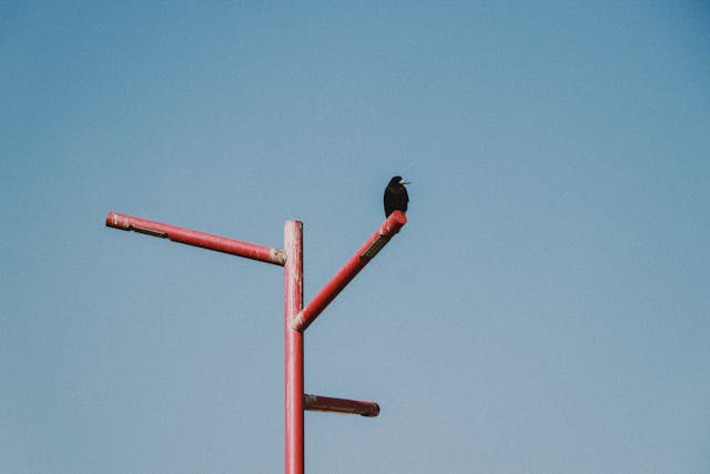 Who Is Sam Crow on Sons of Anarchy? [Comprehensive Answer] - CGAA.org