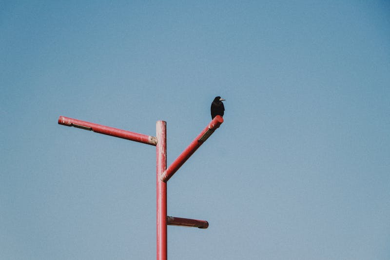 Who Is Sam Crow on Sons of Anarchy? [Comprehensive Answer] - CGAA.org